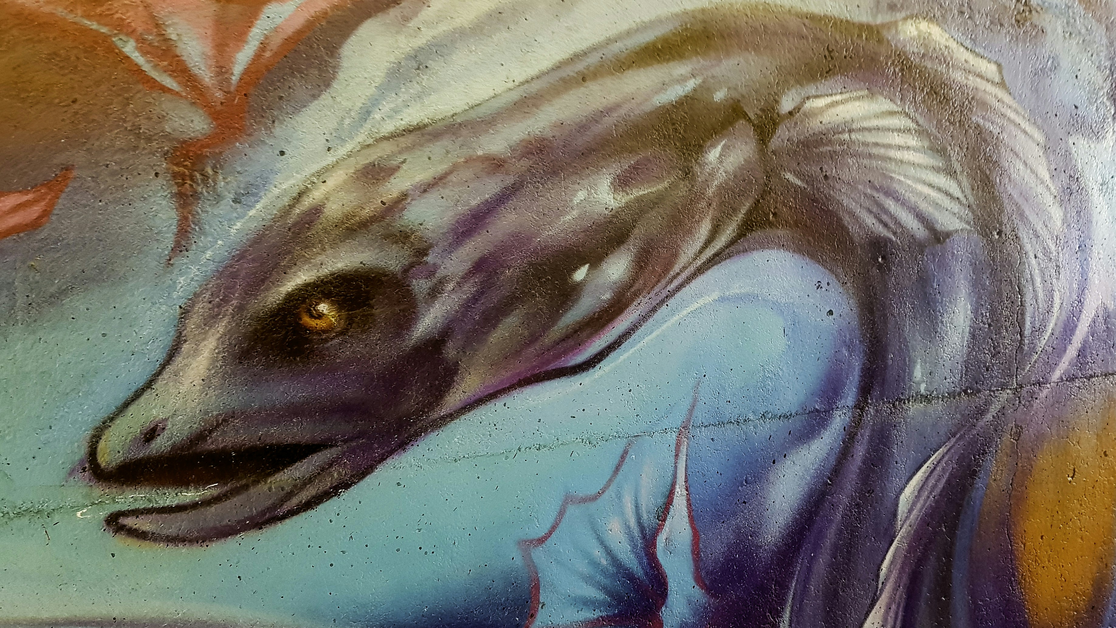 Vivid mural dragon: a luminous spray of color and motion