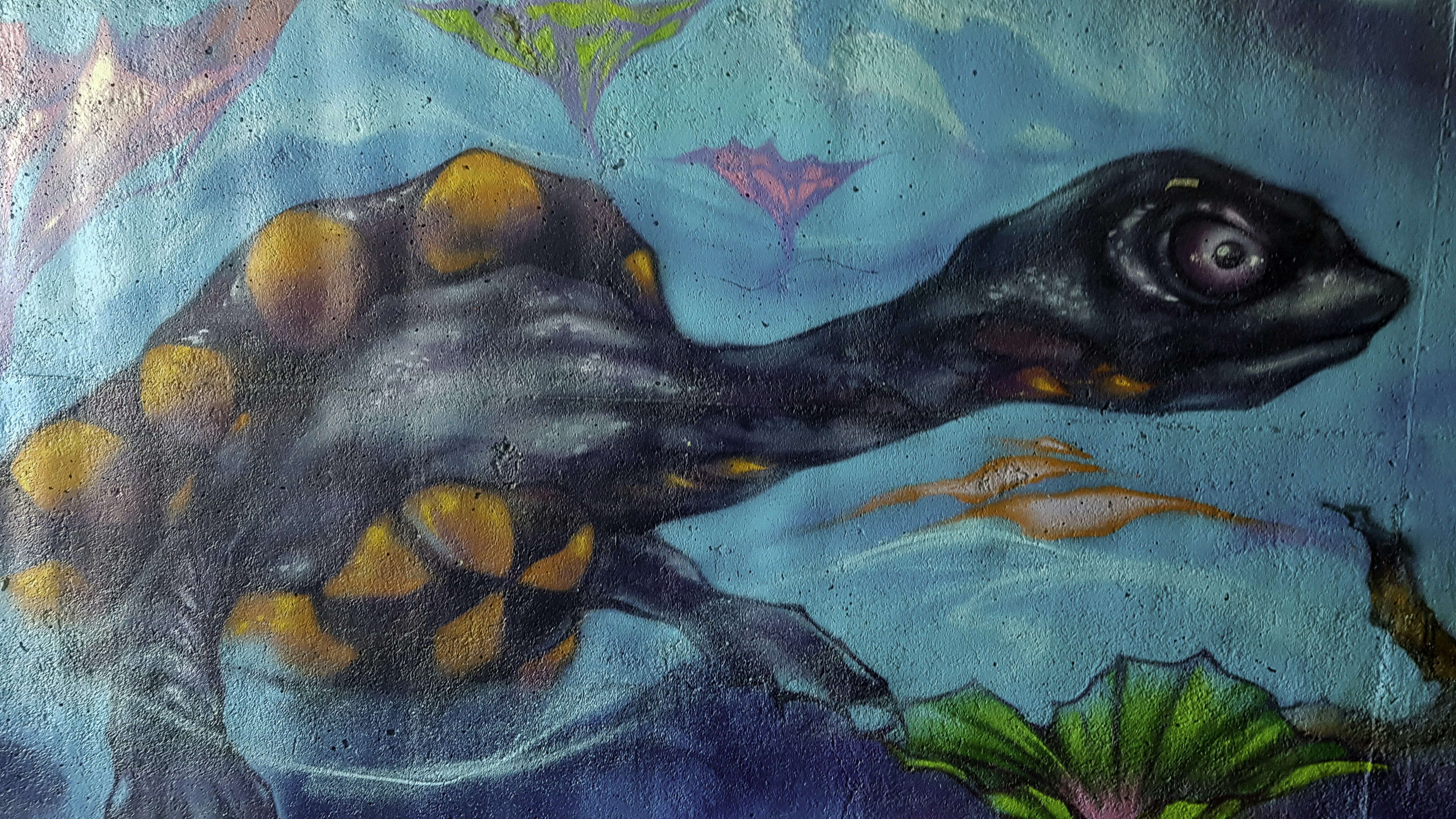 Blue and black fish painting photo – Free Art Image on Unsplash