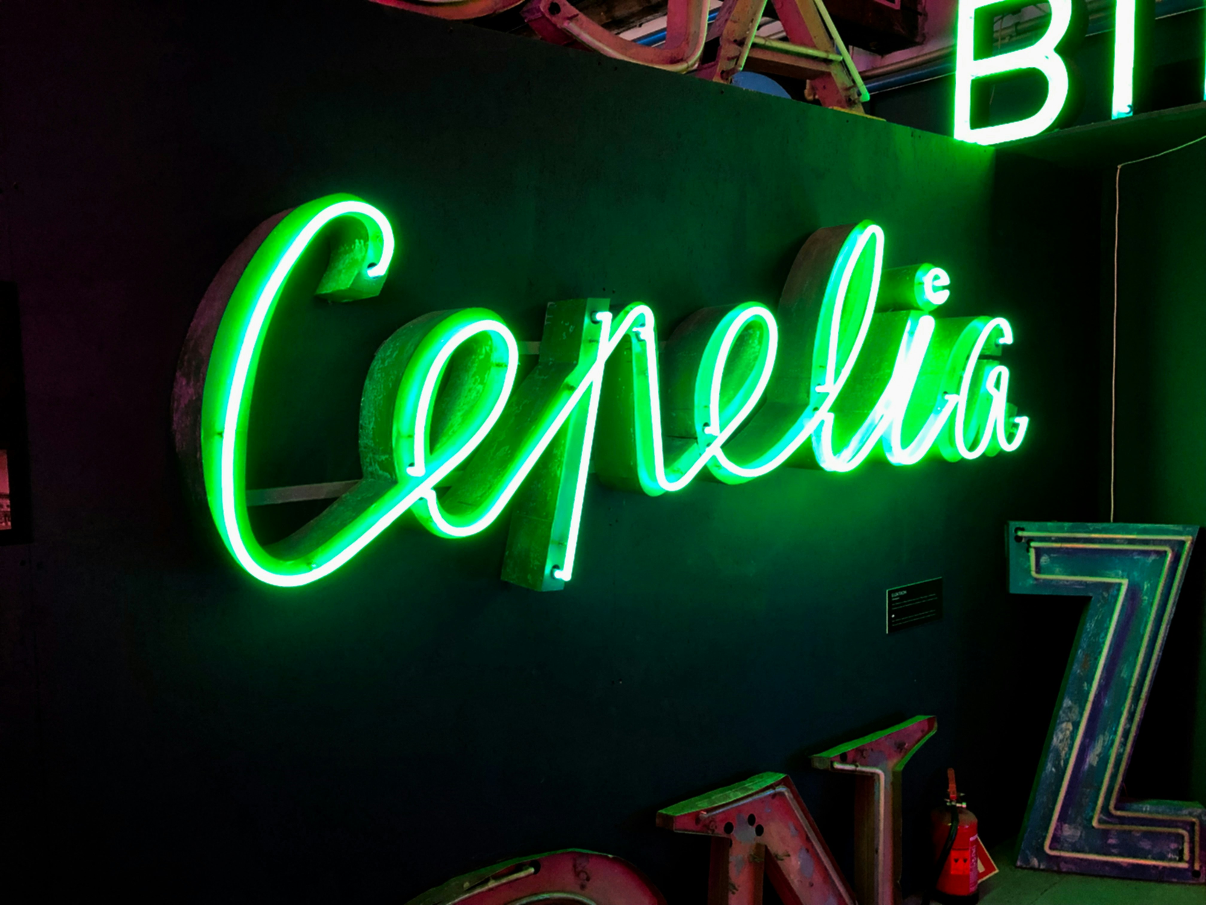 Neon Script of Celia: Green Glow in a Dark Showroom