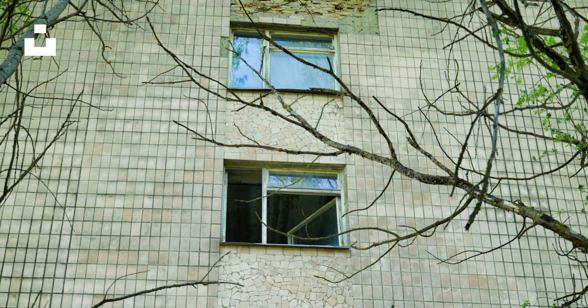 흰색 콘크리트 건물 근처의 갈색 벌거 벗은 나무 사진 Unsplash의 무료 체르노빌 이미지