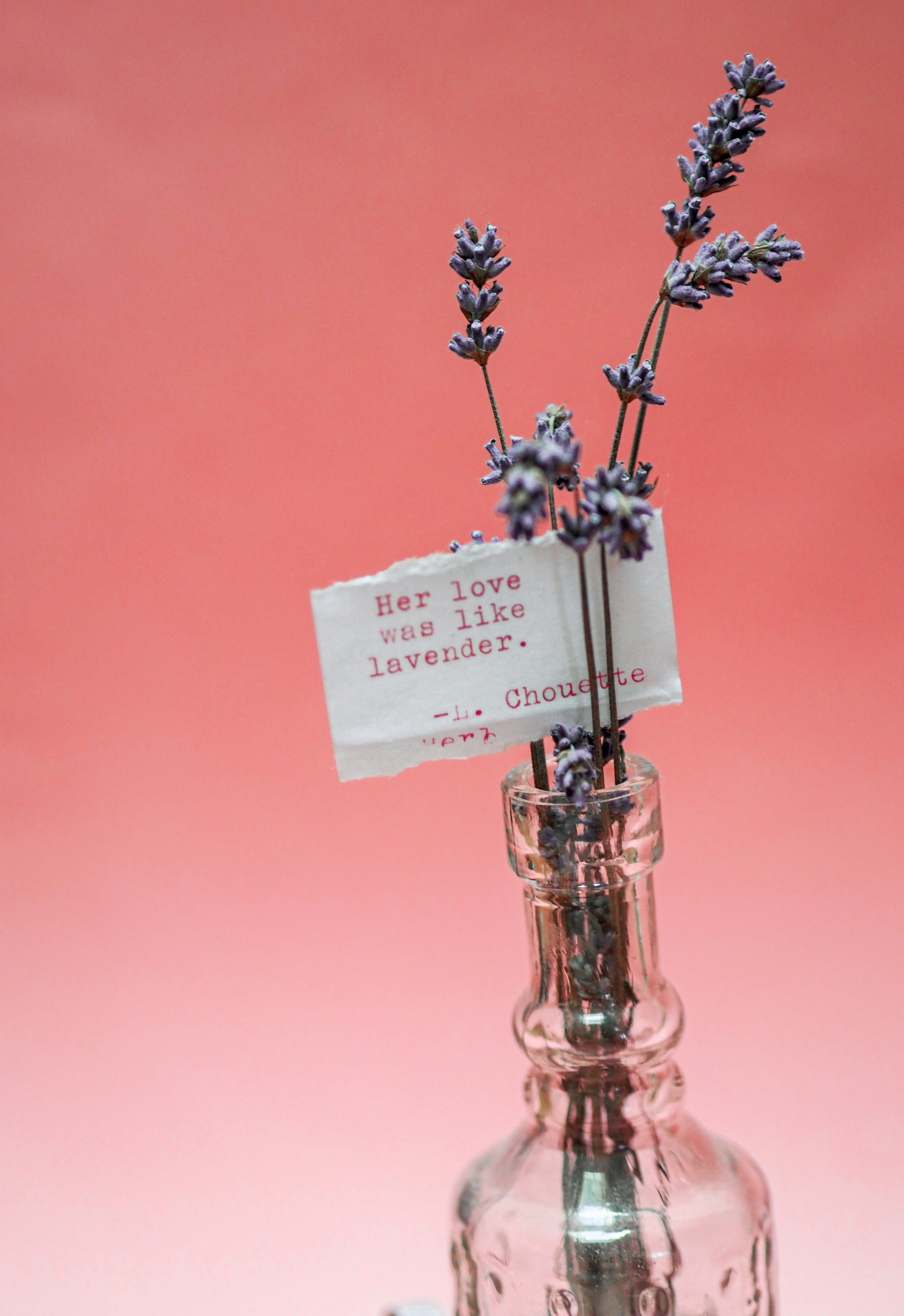 Delicate lavender sprigs in a glass bottle, accompanied by a handwritten note expressing affection. The soft pink background enhances the romantic theme.