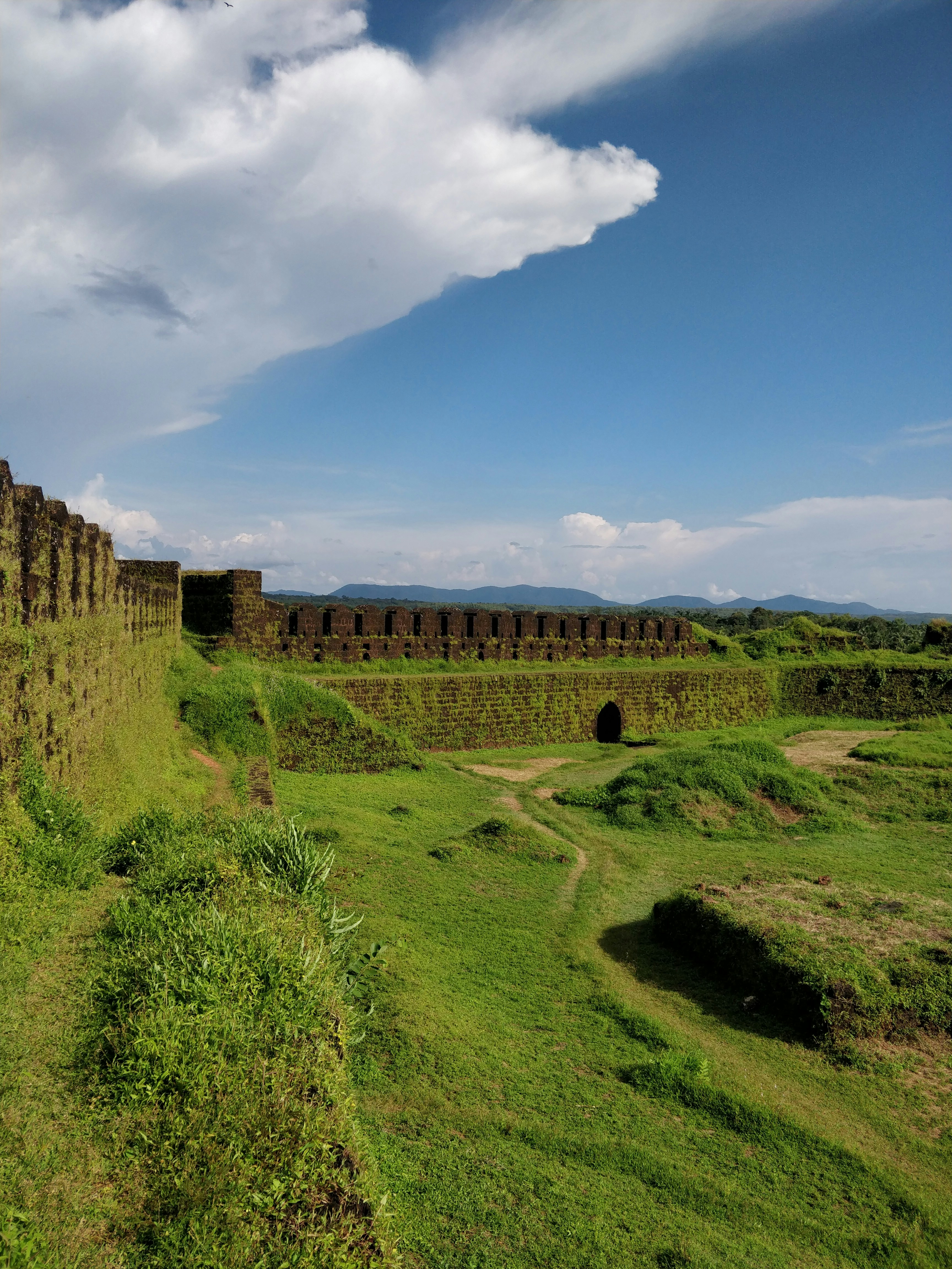 Ancient Fort in Verdant Expanse