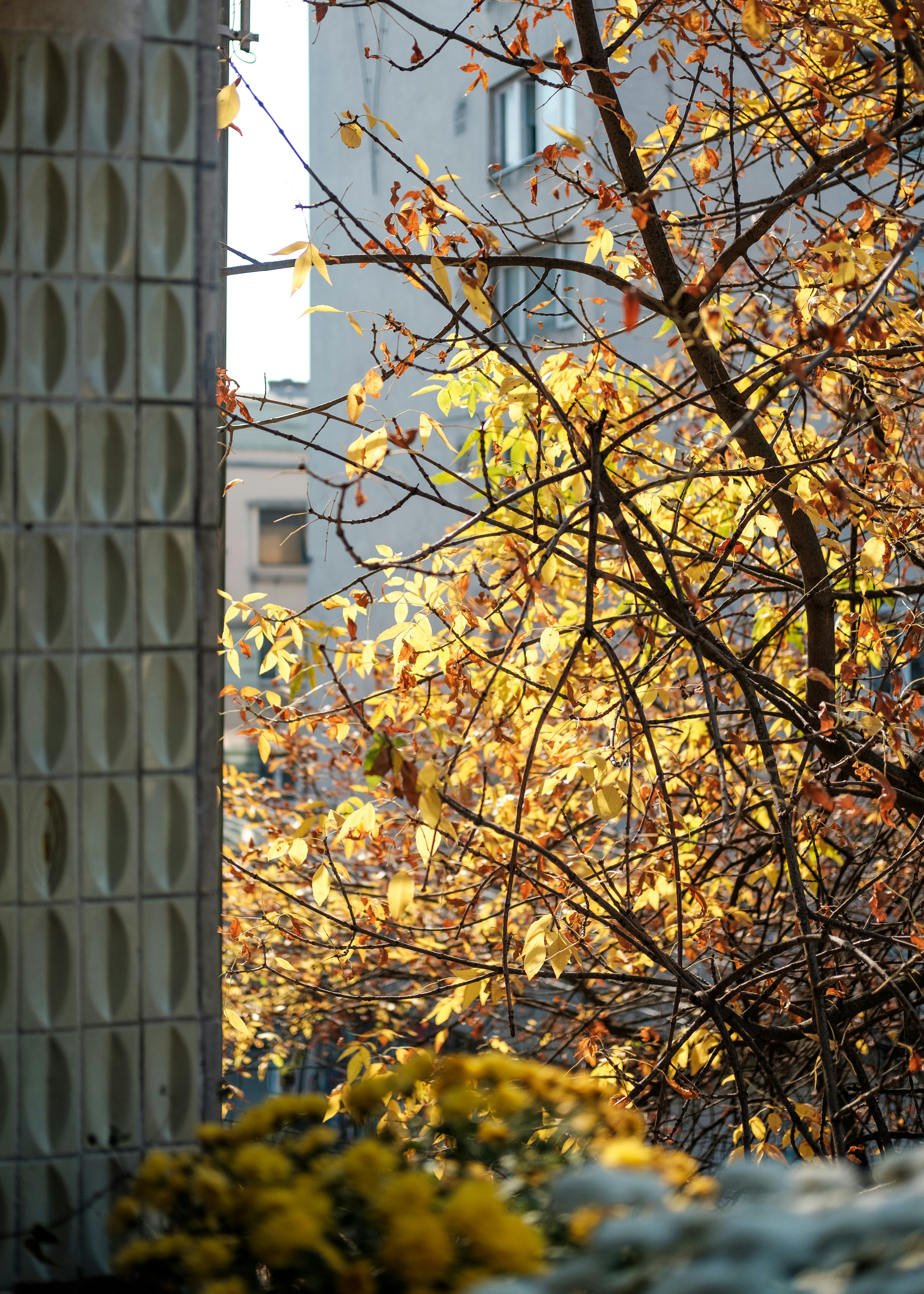 Cosmin Serban (@cosminserban) | Unsplashフォトコミュニティ