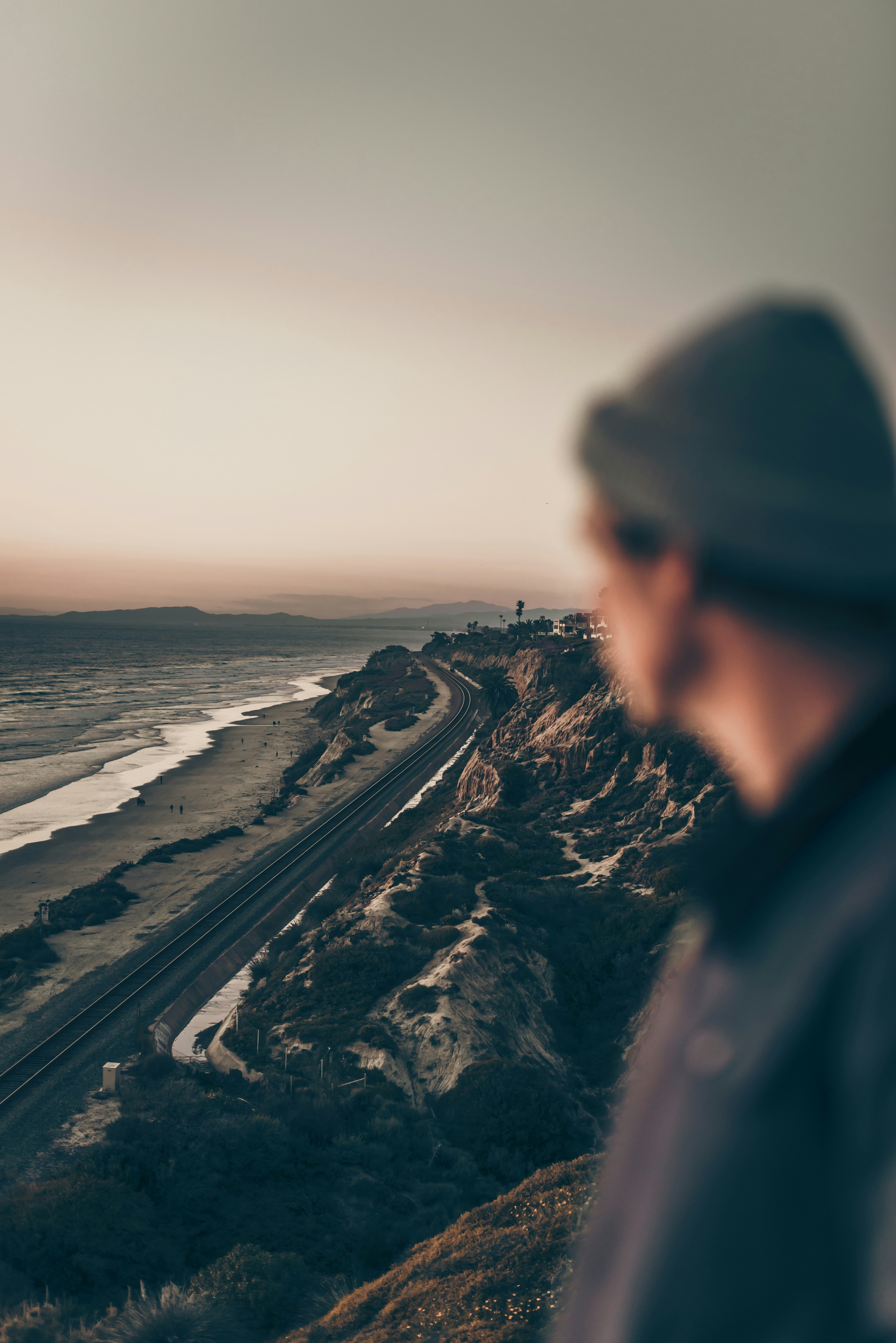 Edge of the View: A Quiet Moment on the Coastal Cliffs