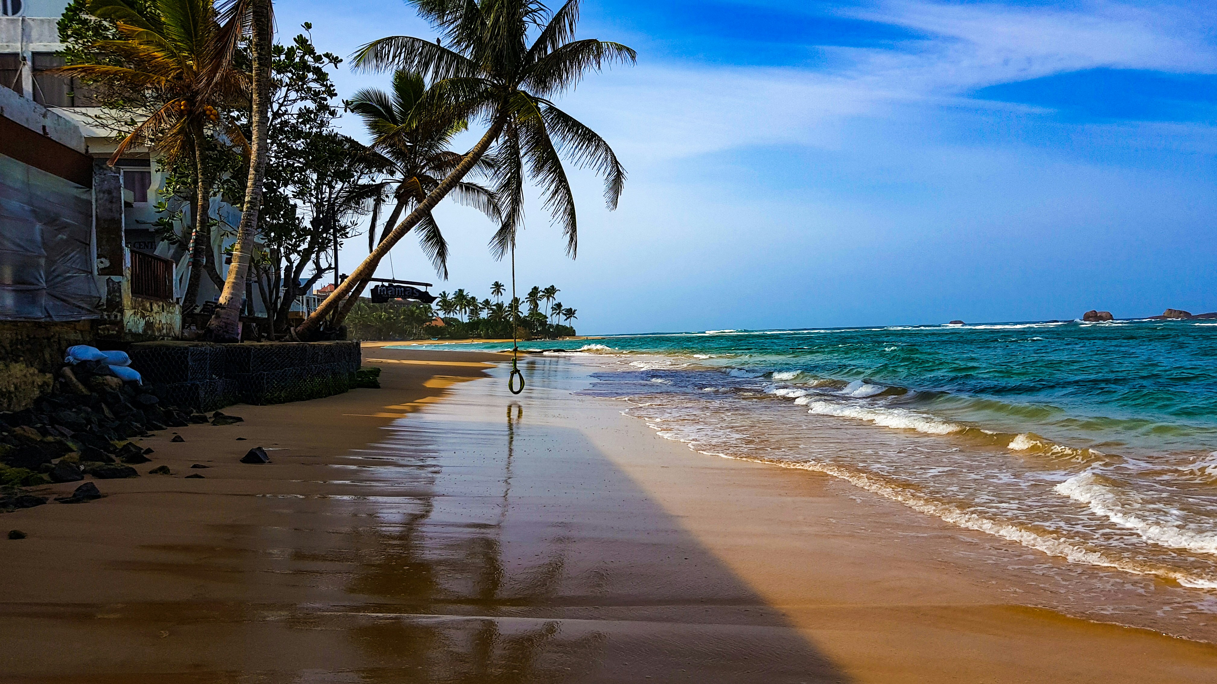Coconut palm tree near sea shore during daytime photo – Free Sri lanka ...