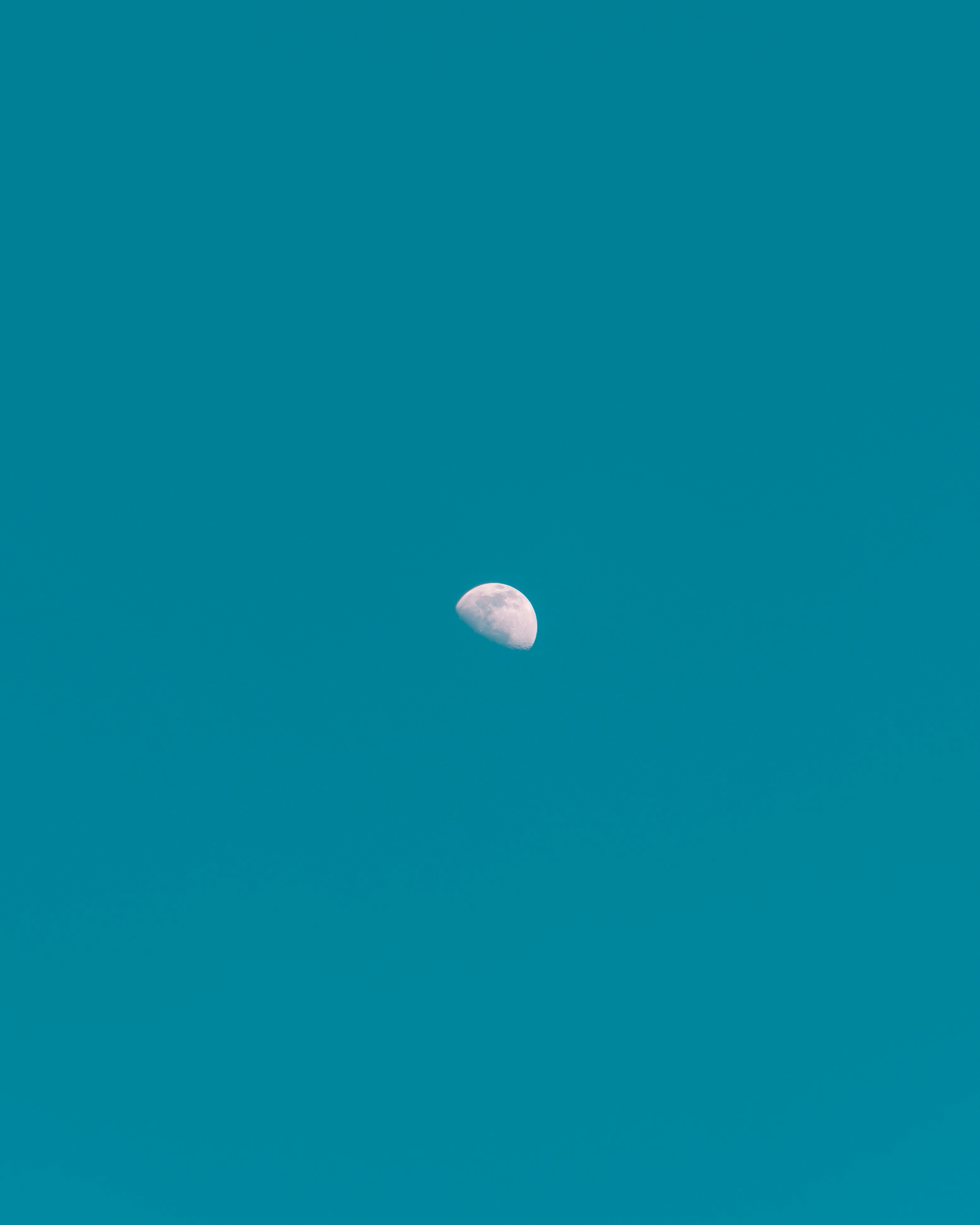 Celestial Serenity: A Moonlit Glimpse