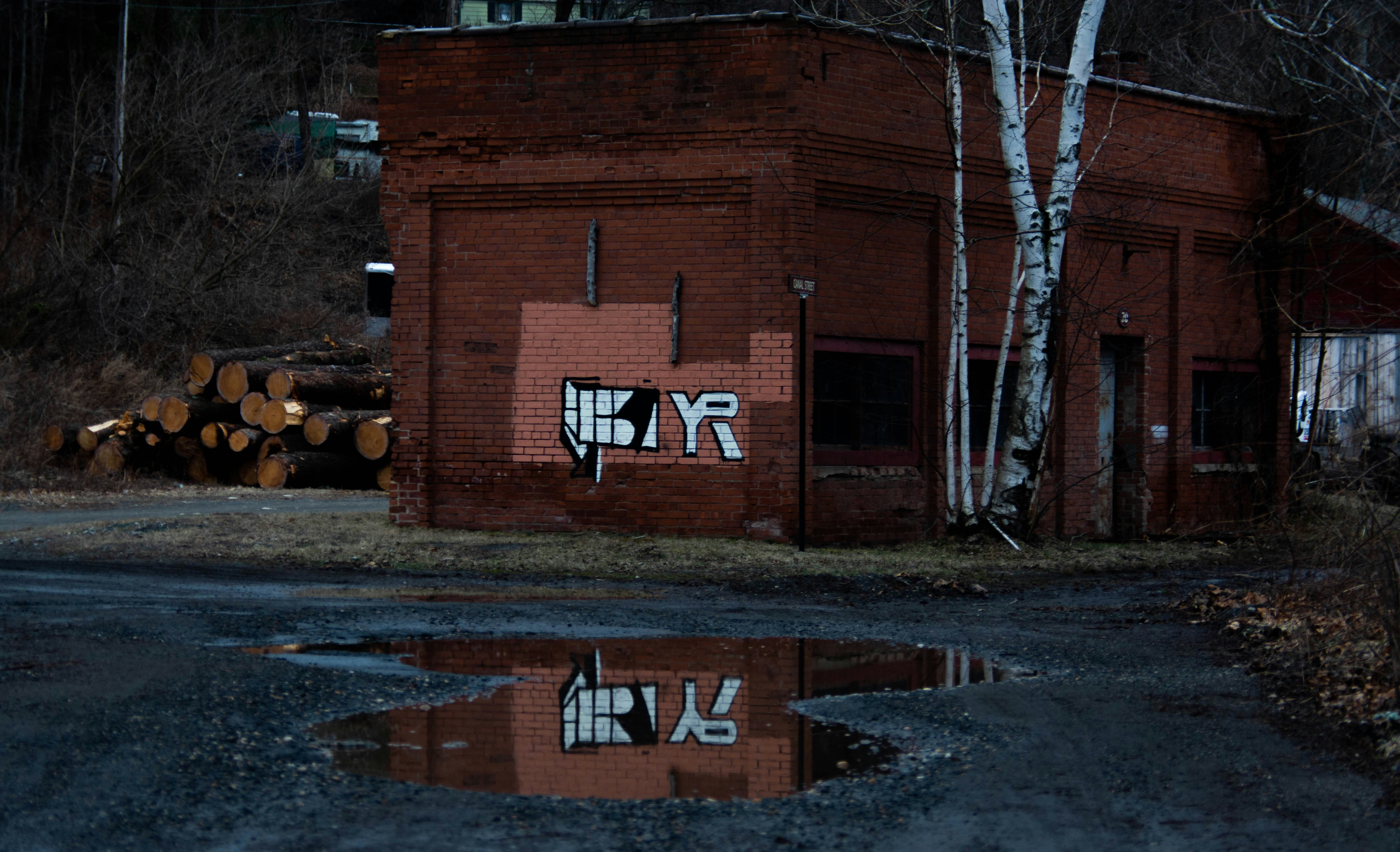 Reflections of Abandonment