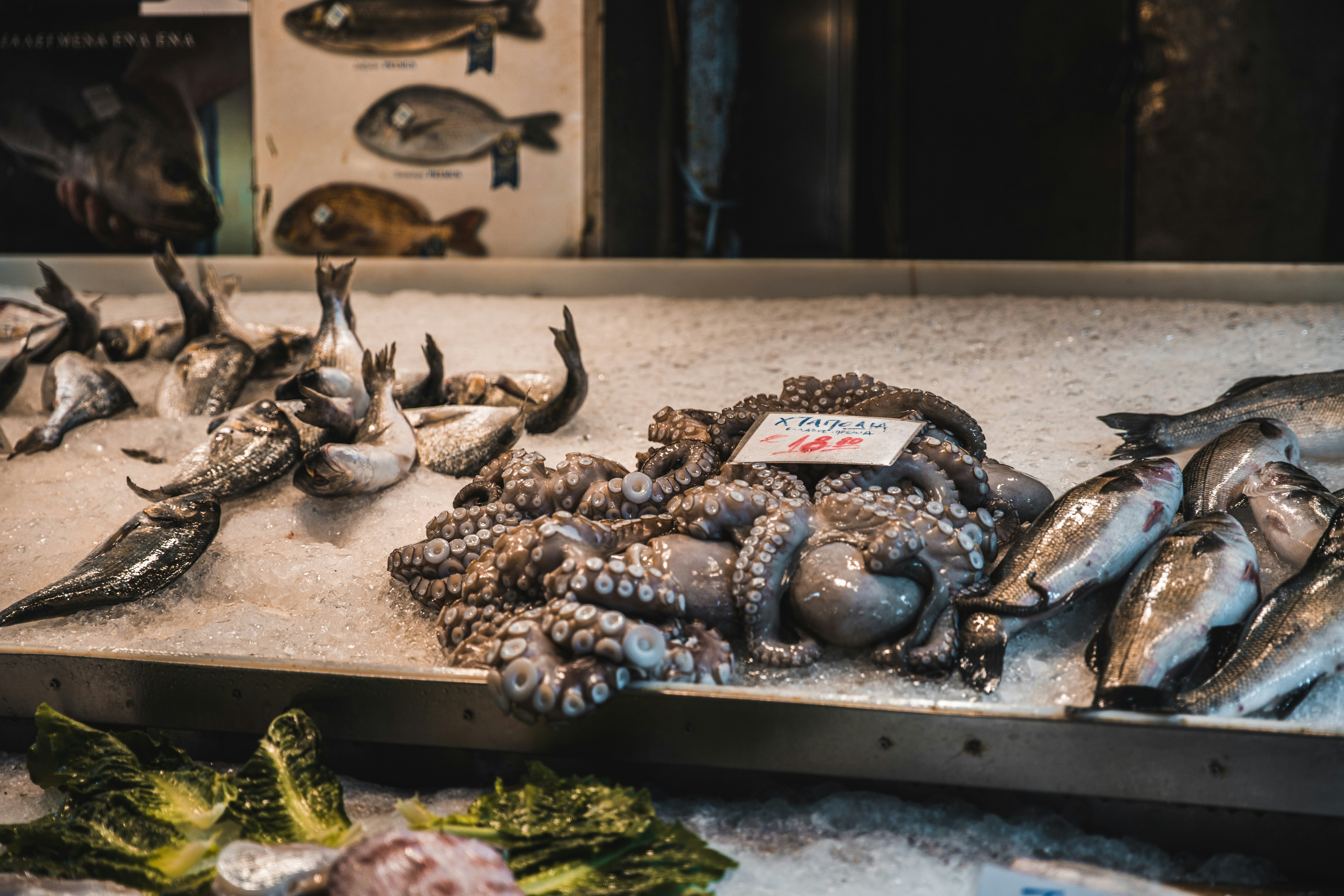 Octopus and seafood tableau on a frosted display