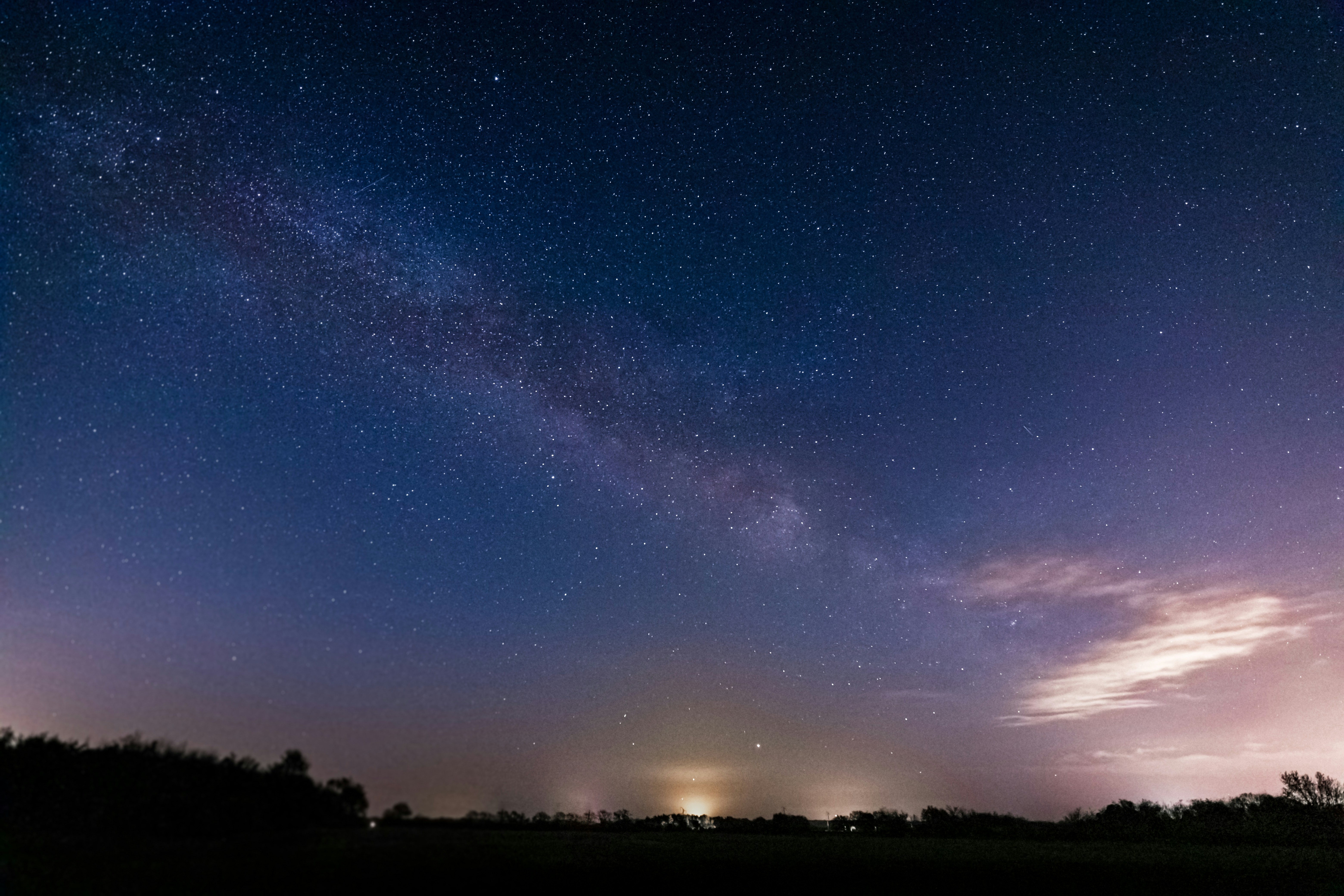 Silhouette of trees under blue sky with stars during night time photo ...