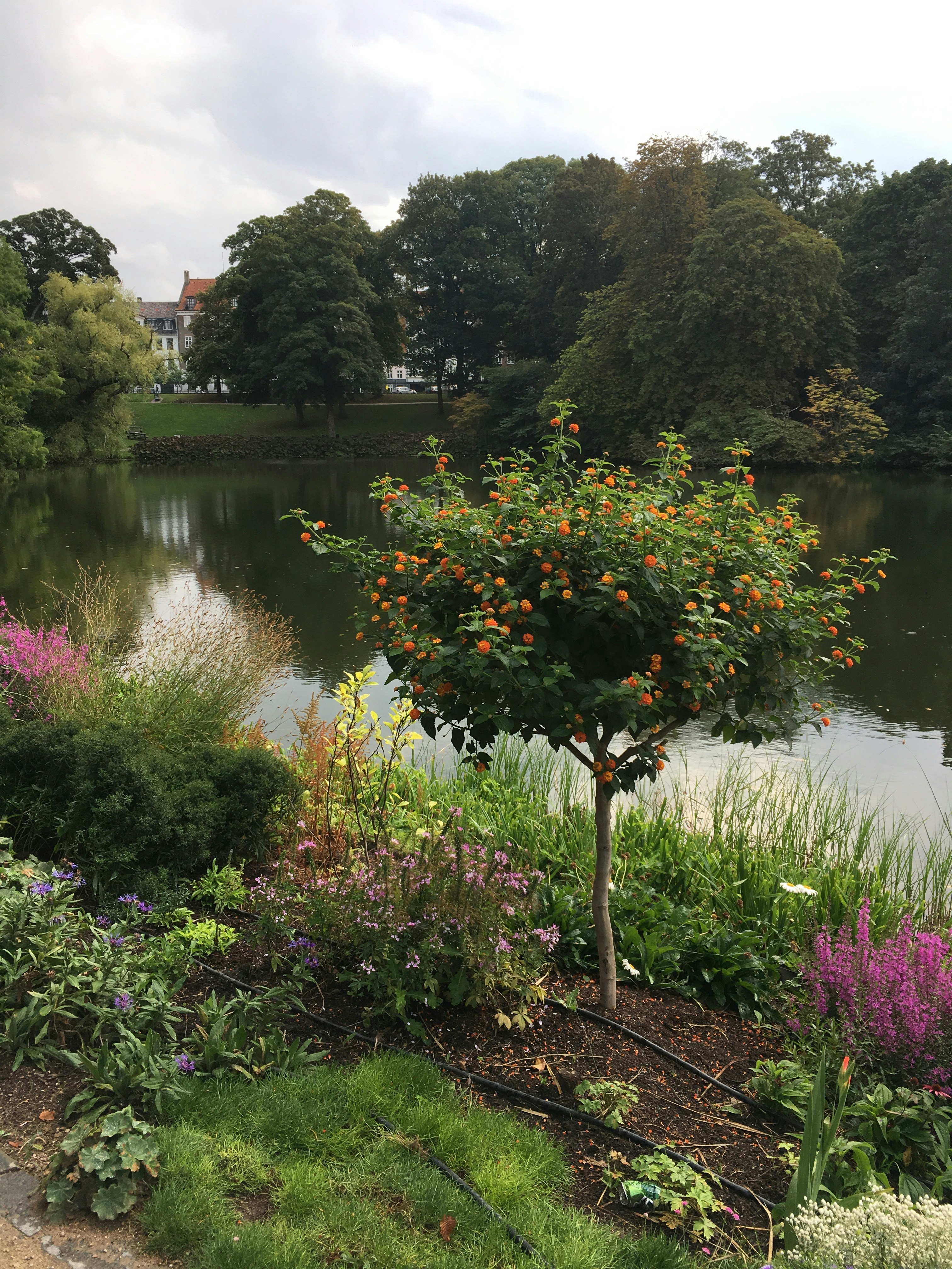 Arseniy Posuponko (@hallokaffeebitte) | Unsplash Photo Community