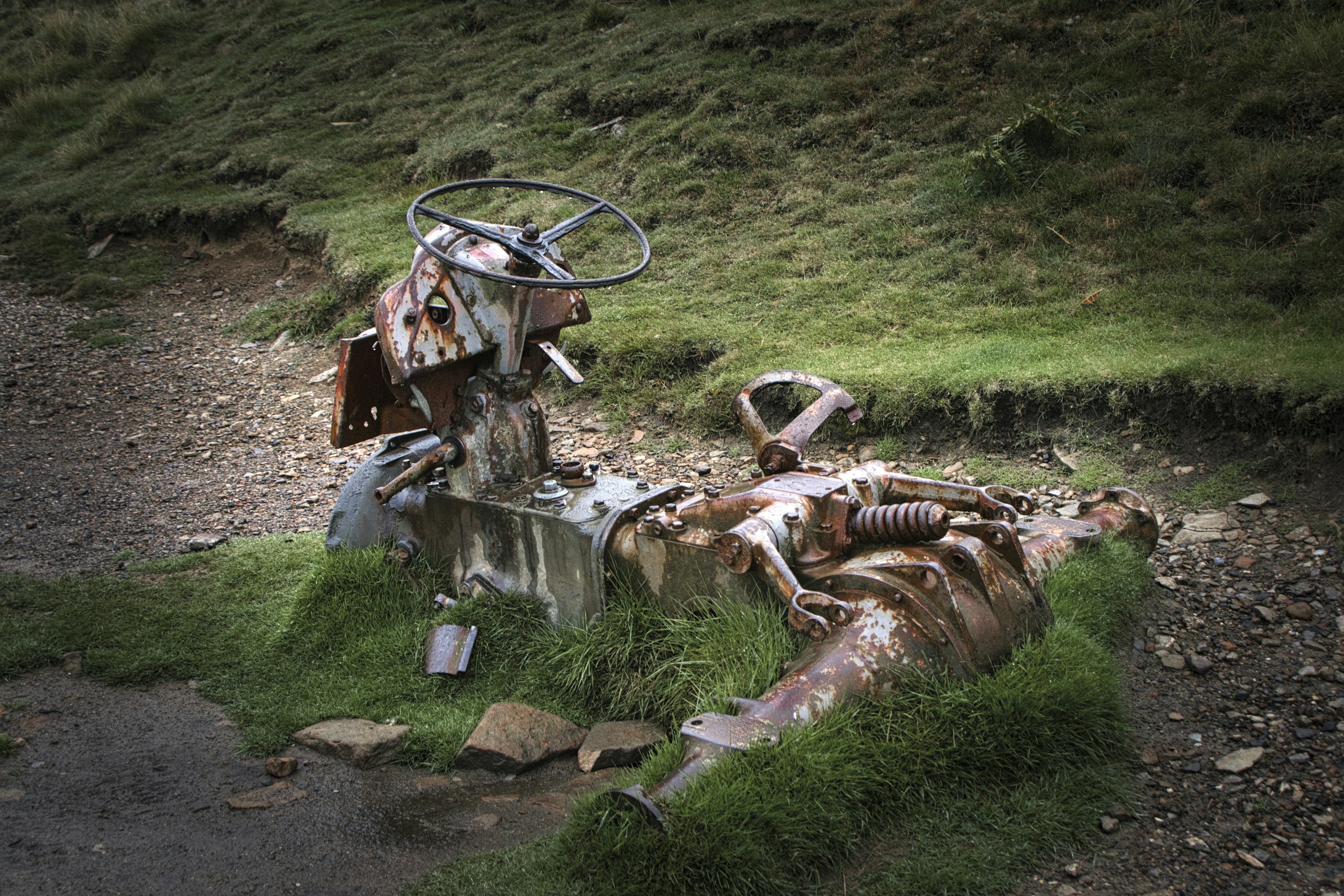 Rusty remnants of an old vehicle partially buried in grass, showcasing nature's reclamation of man-made objects.