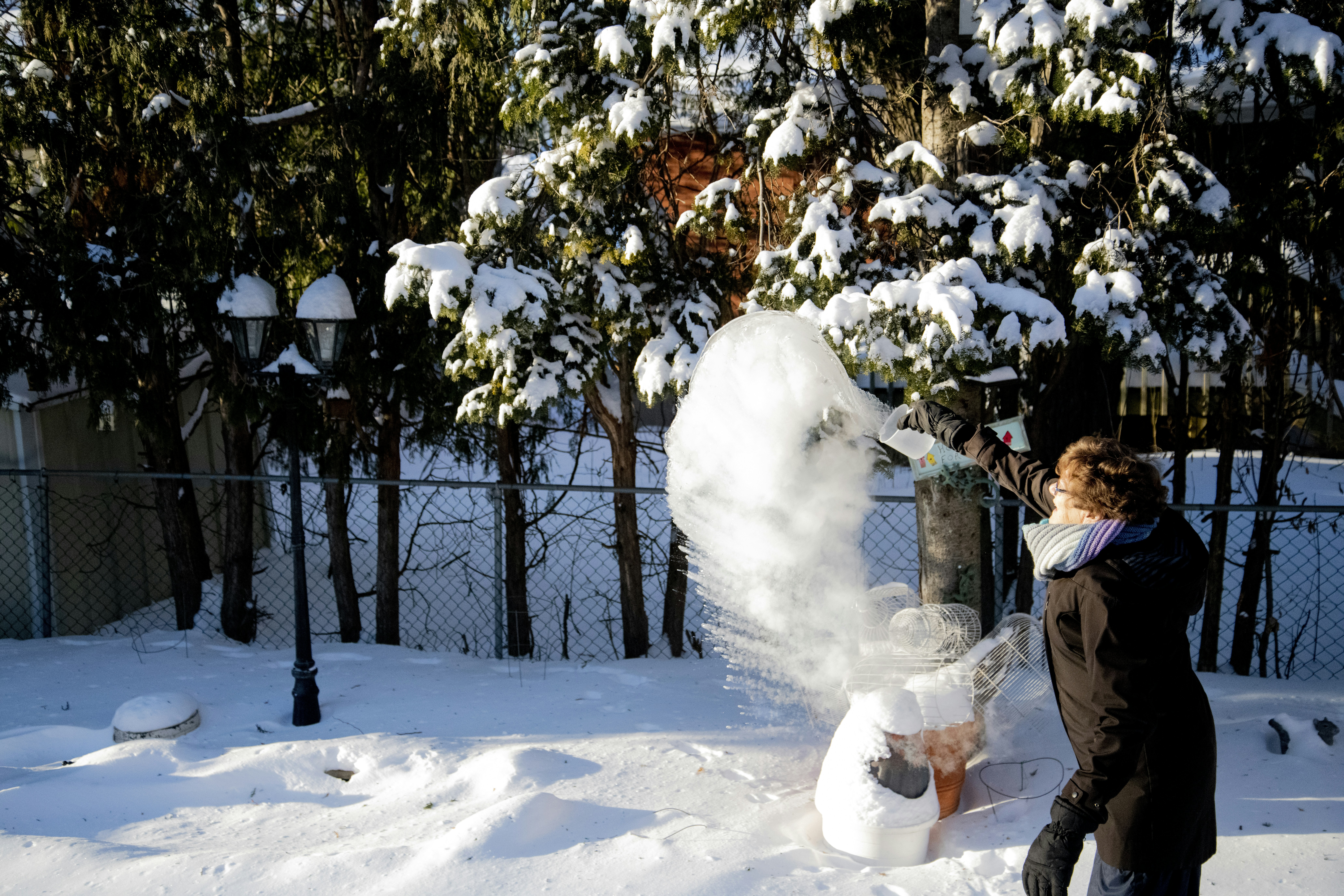 Snowy Snowball Toss: A Moment of Childlike Llee in Winter Light