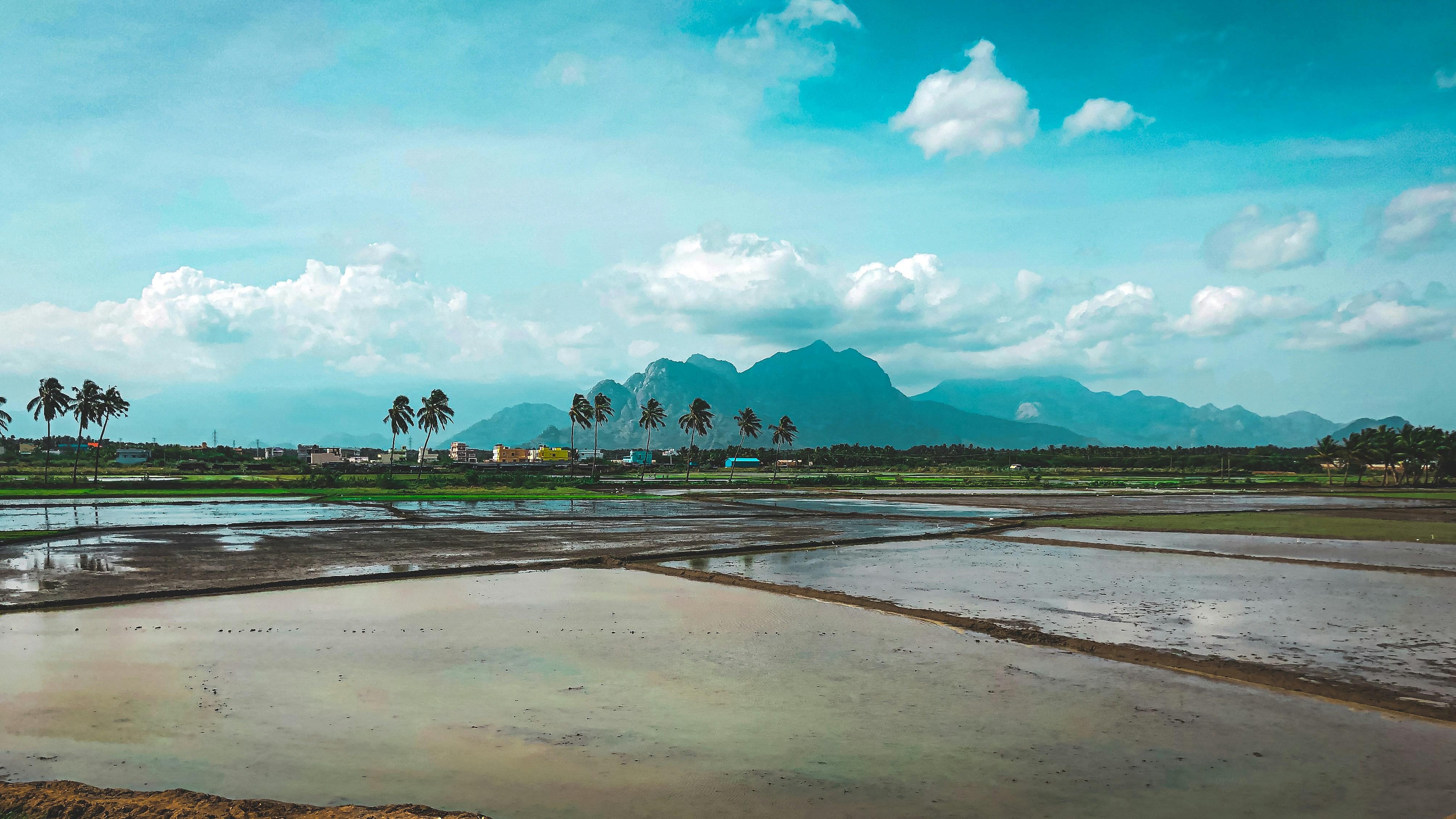 Reflections of Serenity: A Landscape Under Azure Skies