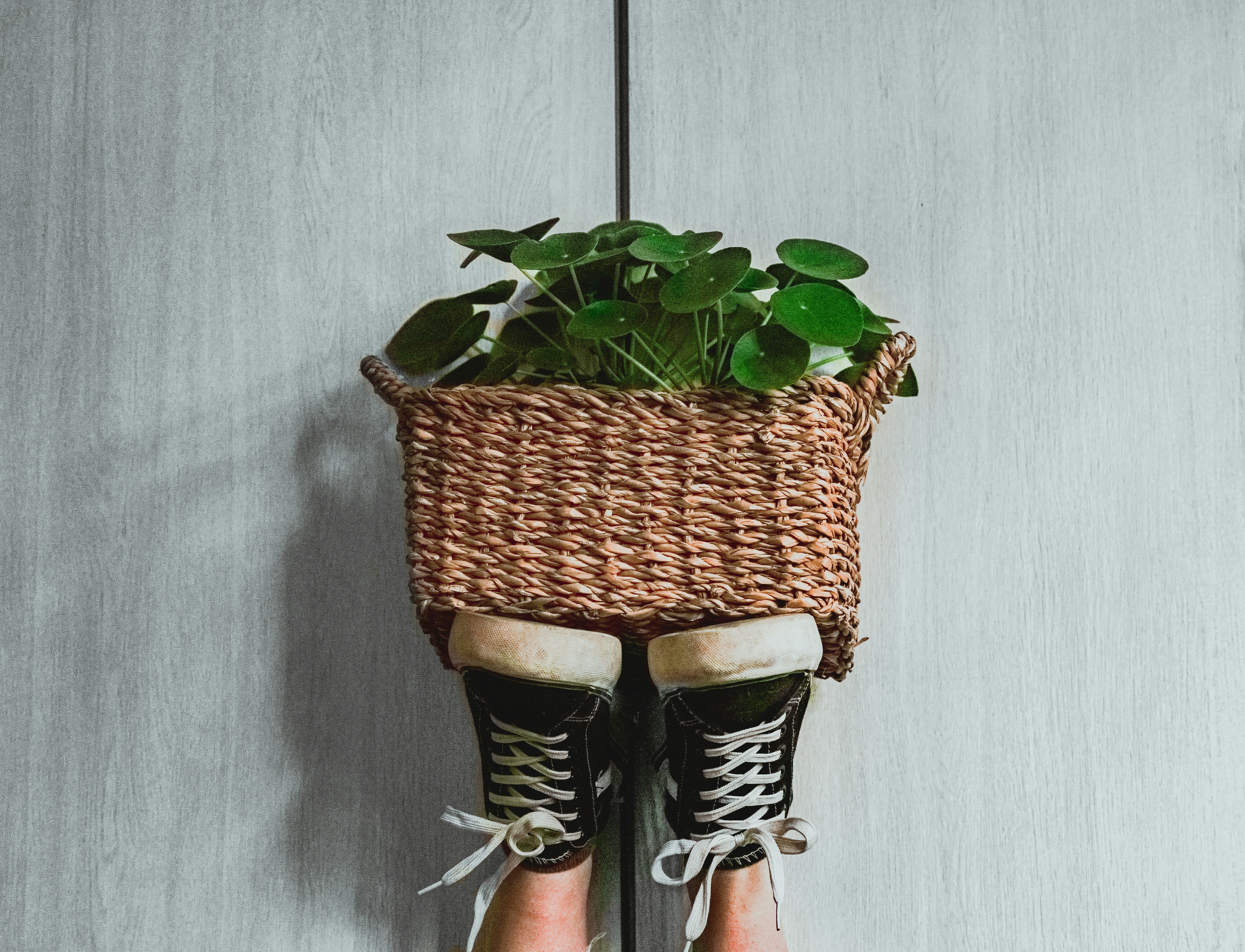 Lara Muller (@laramuller) | Unsplash Photo Community