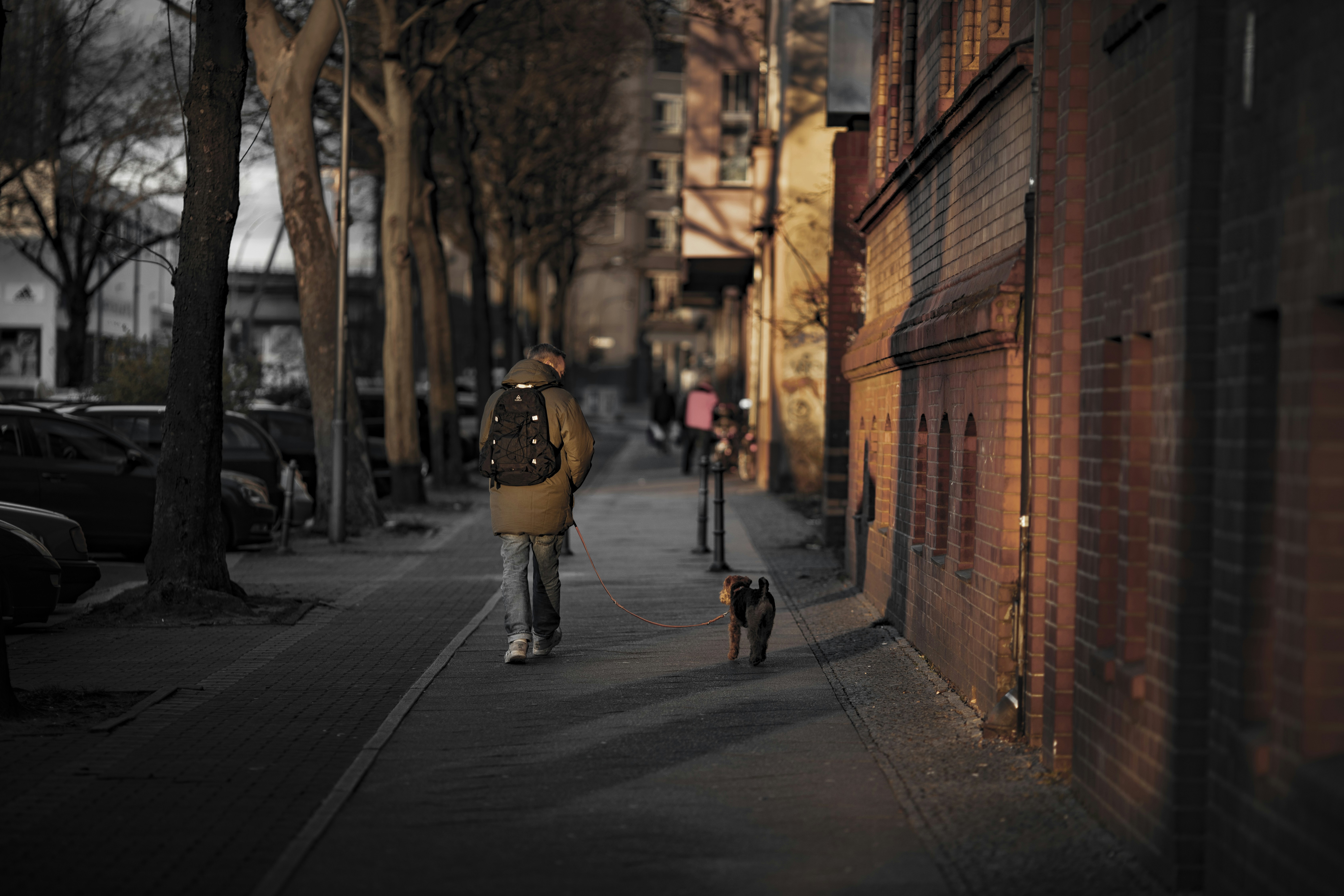 woman in brown coat walking on sidewalk during daytime