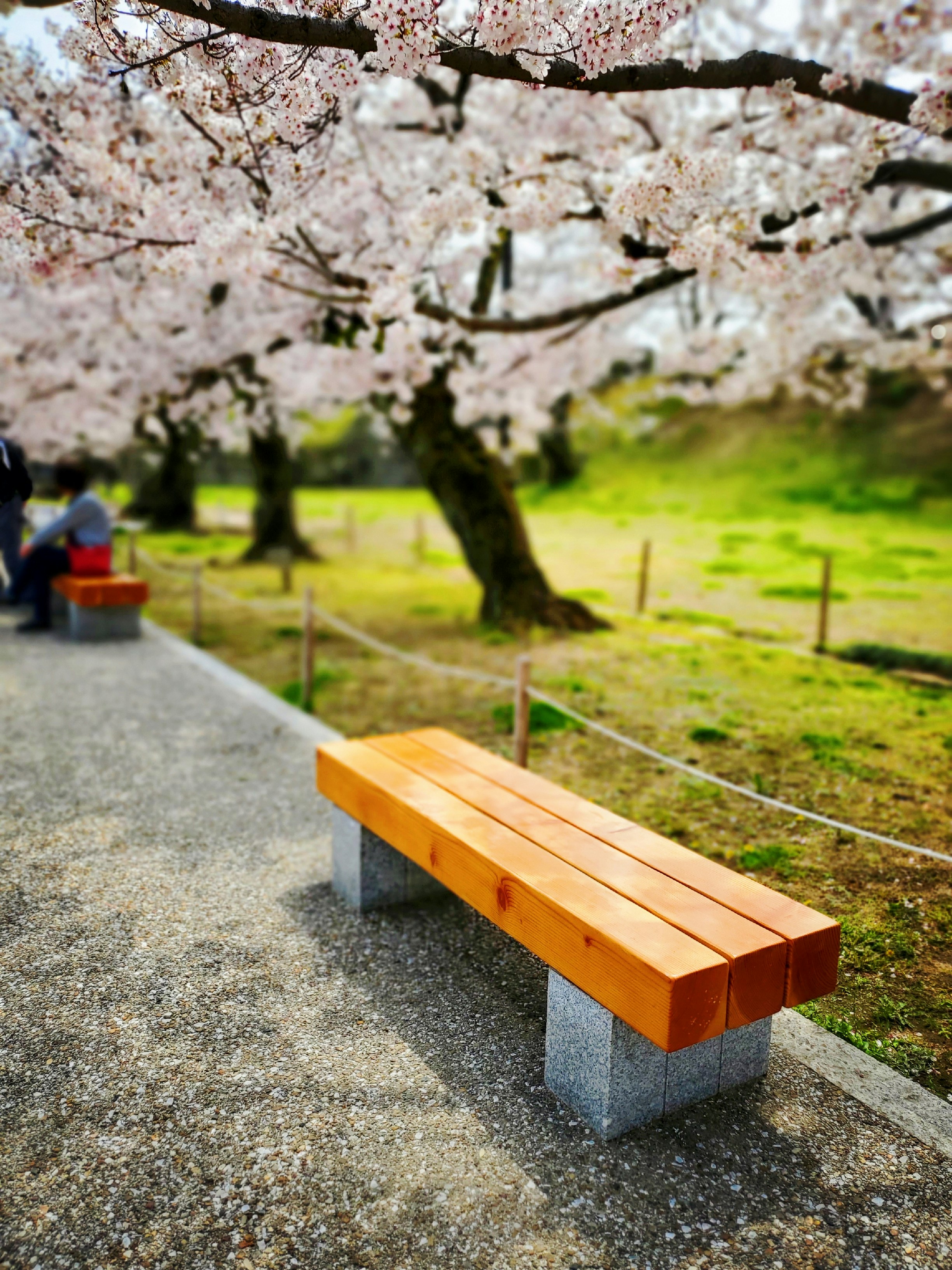 brown wooden bench on gray concrete floor