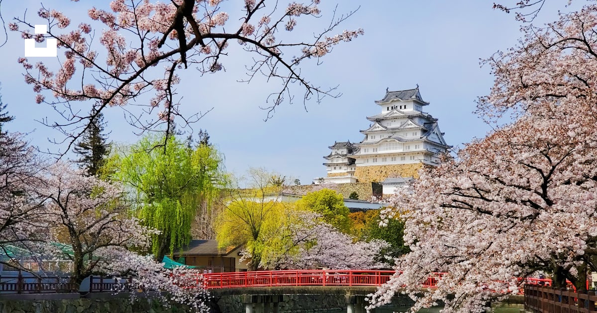 日中の水域近くの茶色と白の寺院の写真 Unsplashの工場の無料画像