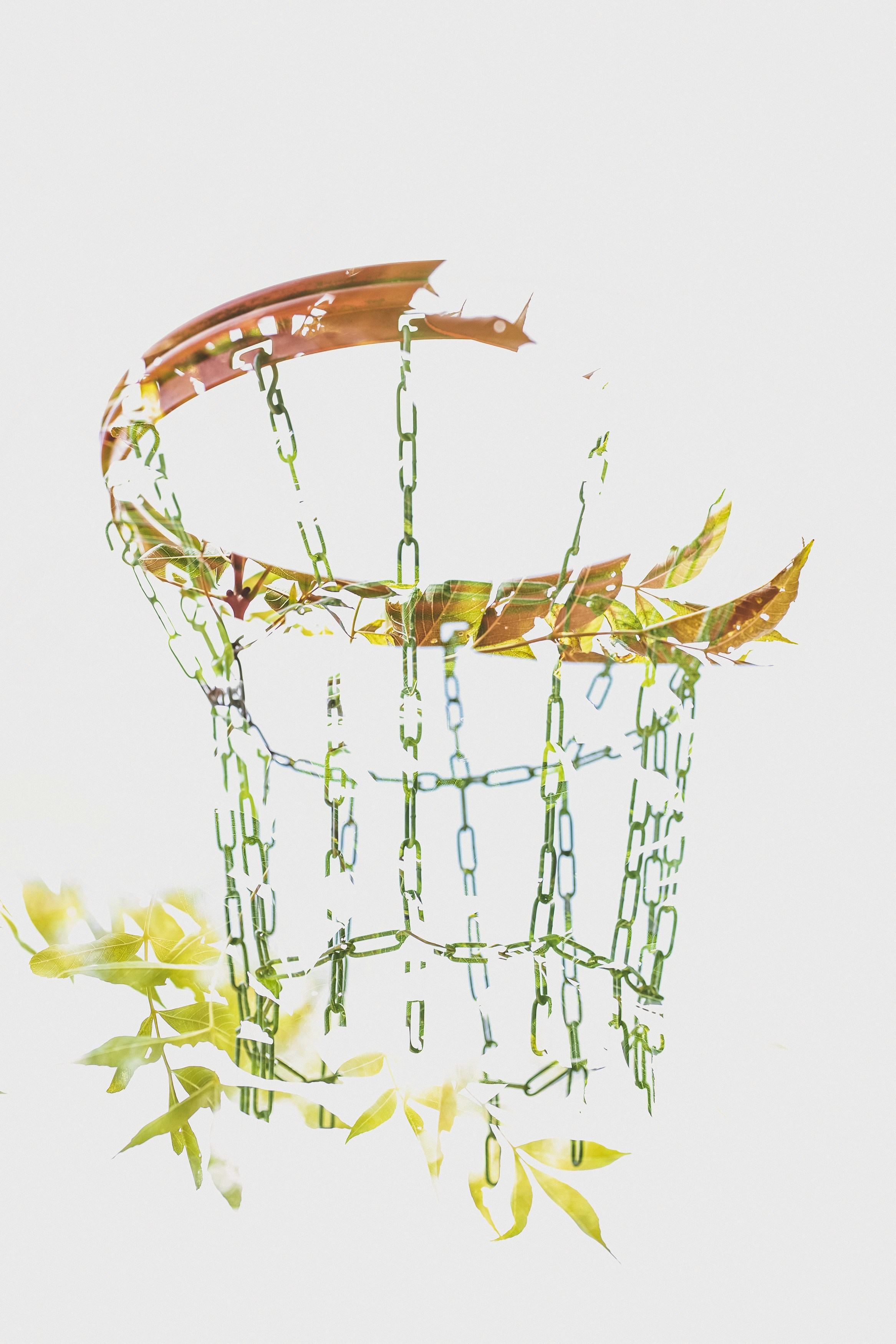 Tangled Halo: A Weathered Basketball Hoop Entwined with Chains and Vines in a High-Key Setting