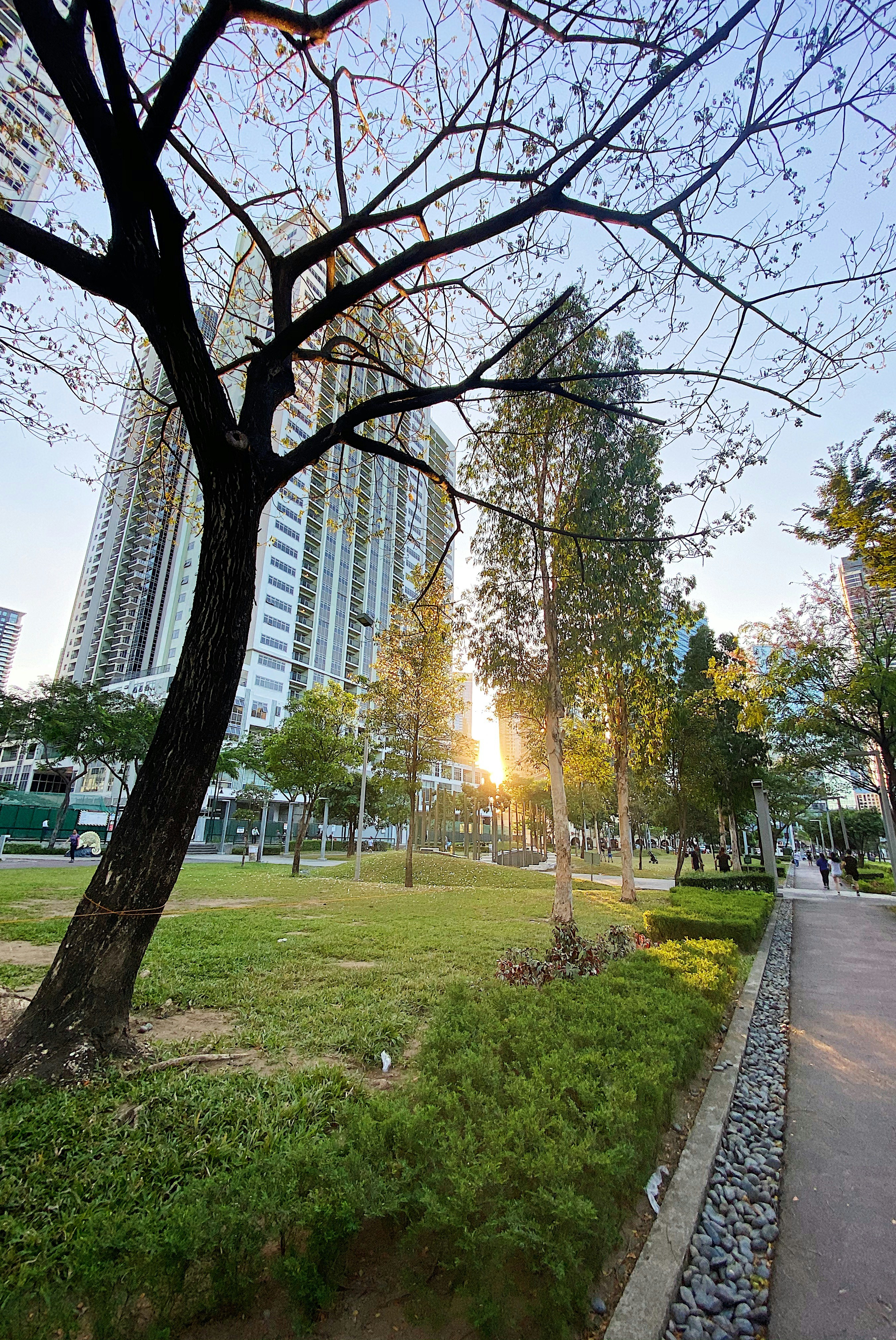 Sample photo from Apple iPhone 11