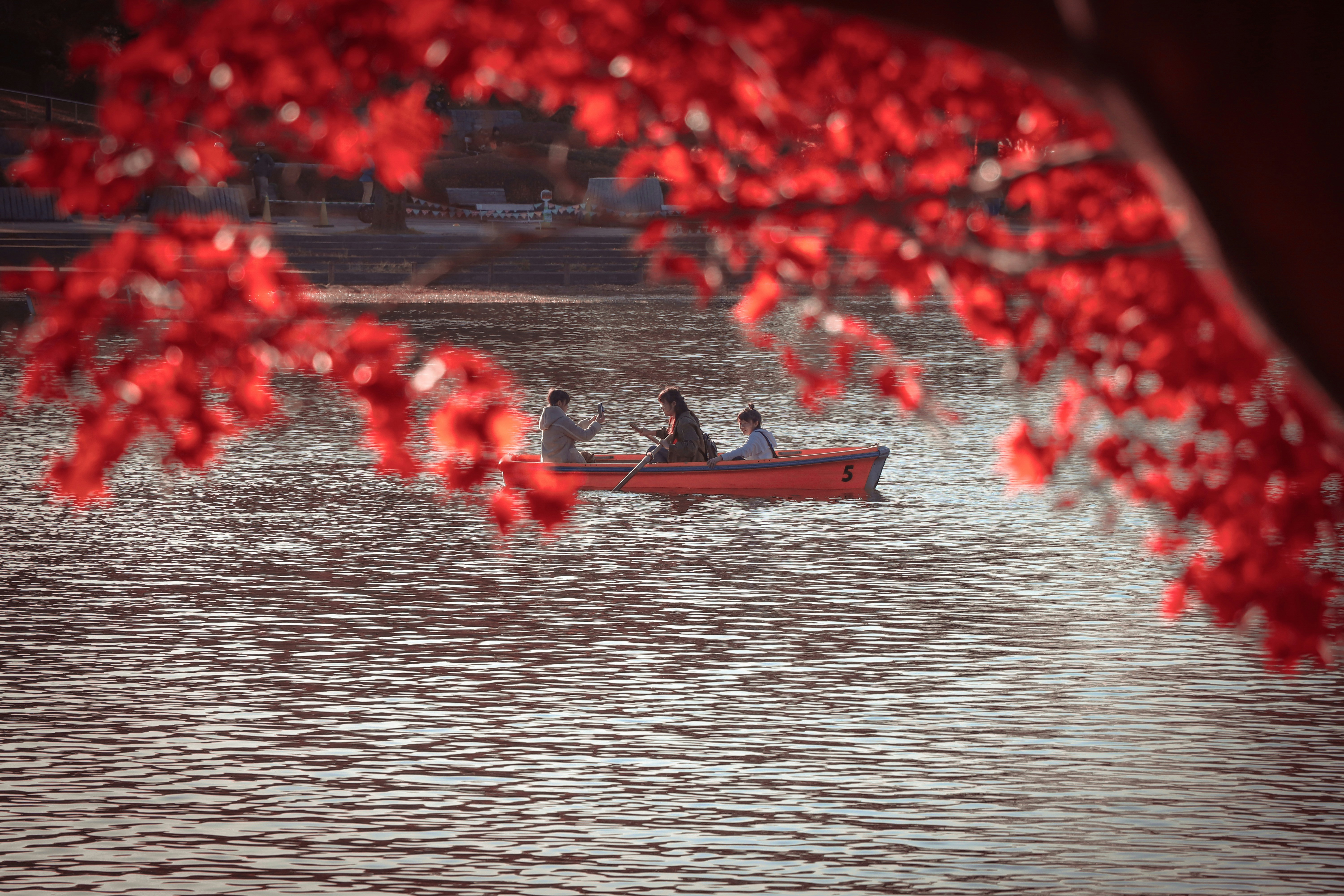 Crimson Canopy over Serene Waters
