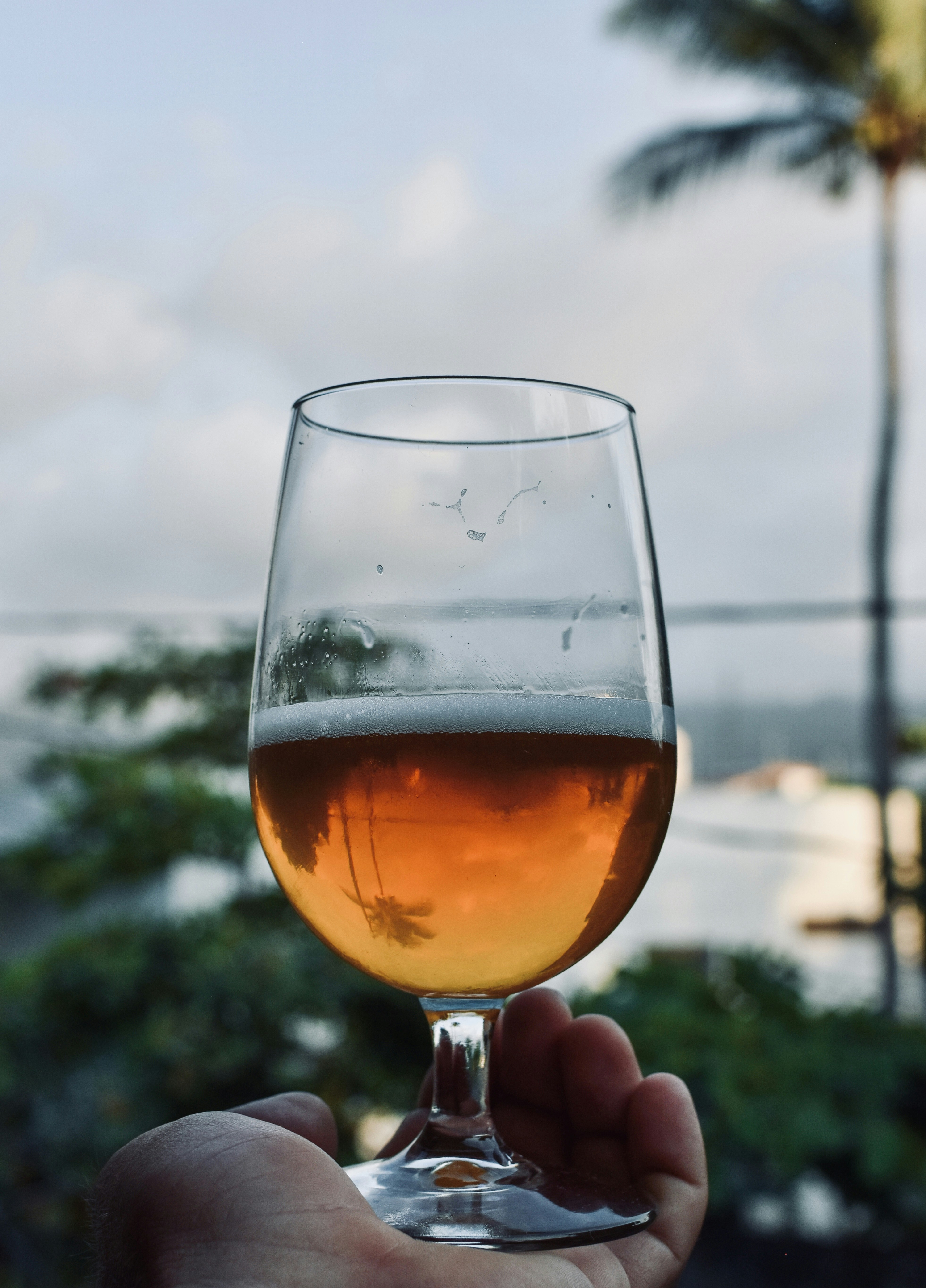 Erick Avalos (@theomar77) | Unsplash Photo Community