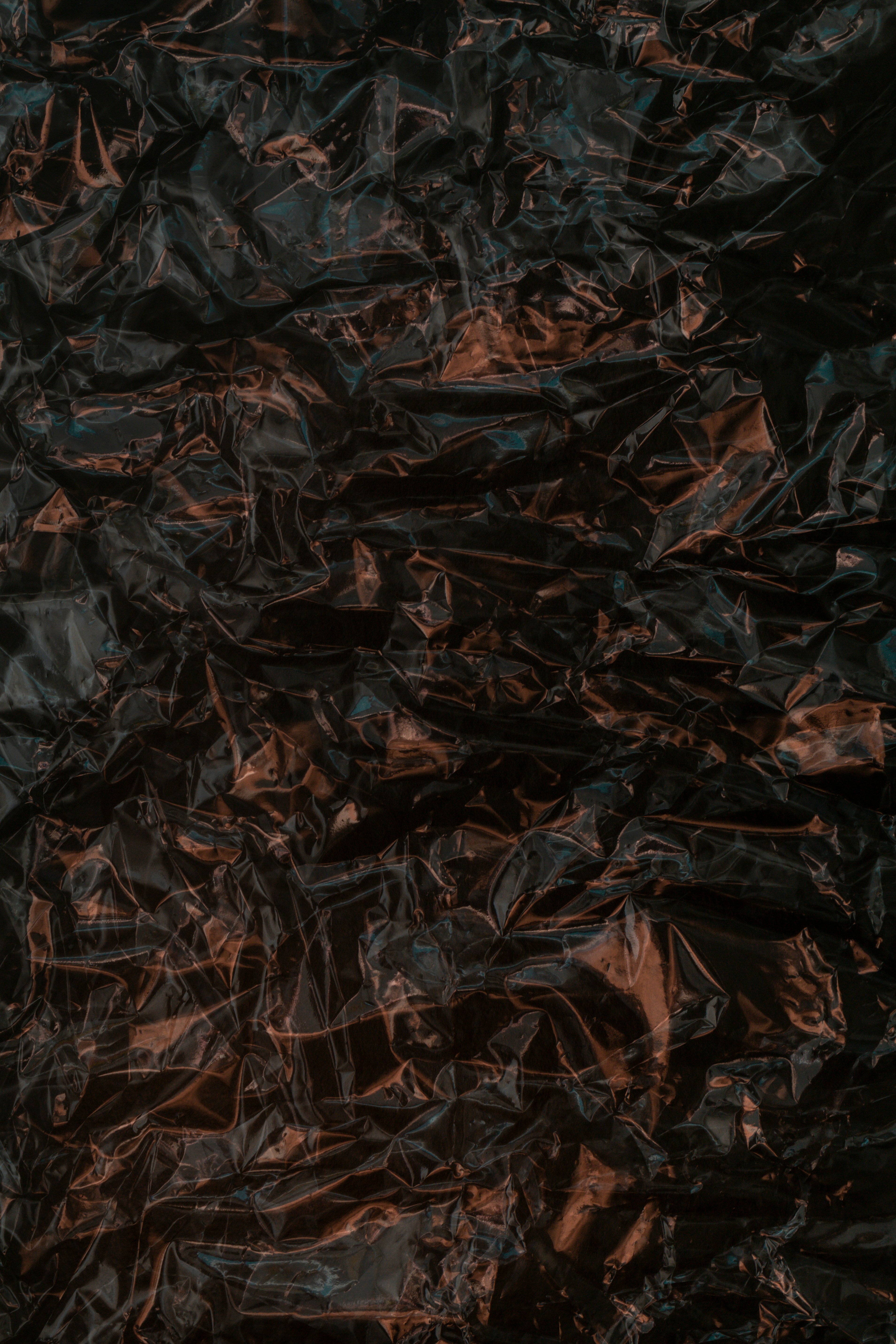 brown dried leaves on groundMarjan Blan