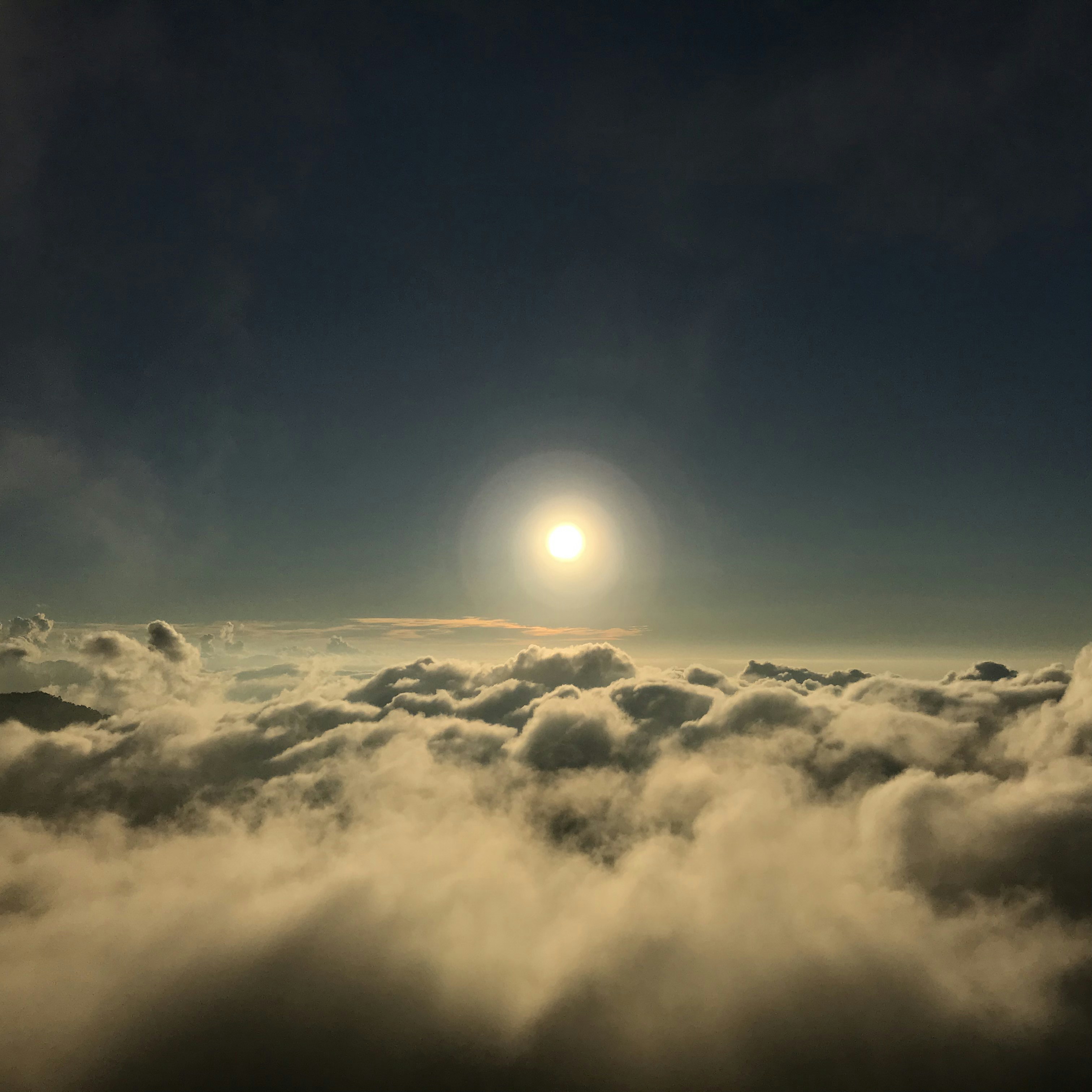 Erick Avalos (@theomar77) | Unsplash Photo Community