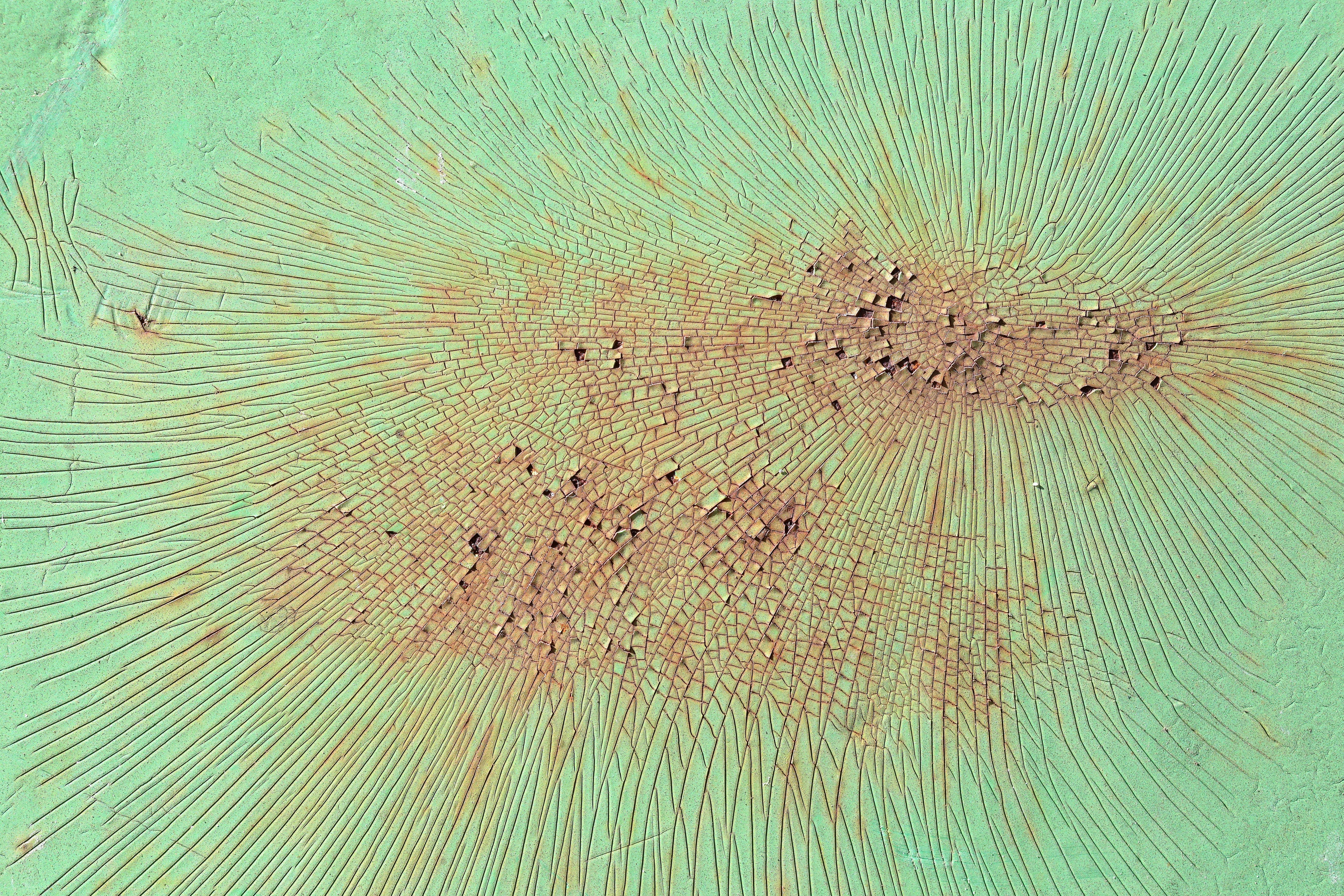 Turquoise Crackle Bloom: Radial Veins Centered on a Rust Patch