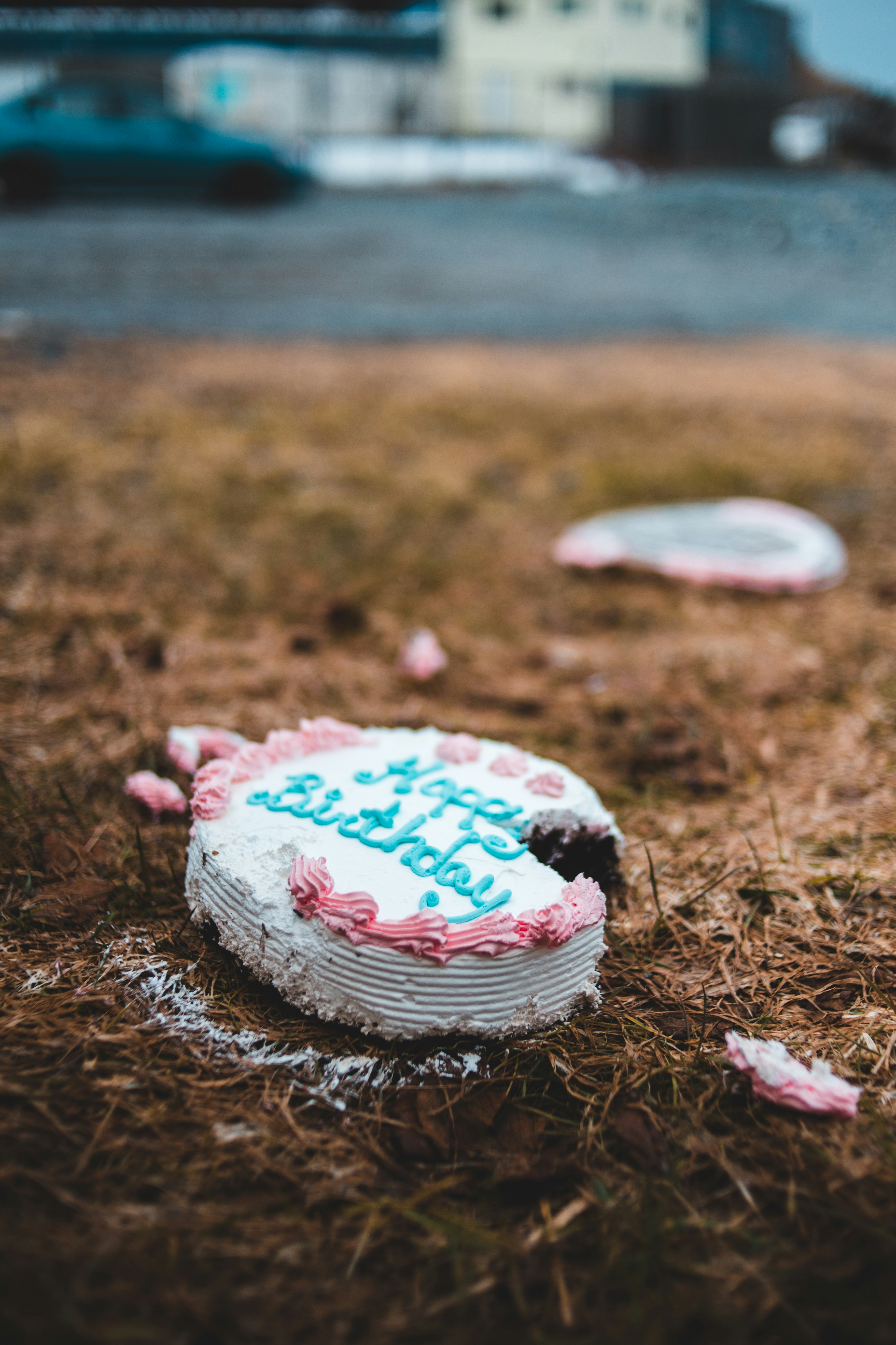 Birthday Cake on a Windy Shoreline