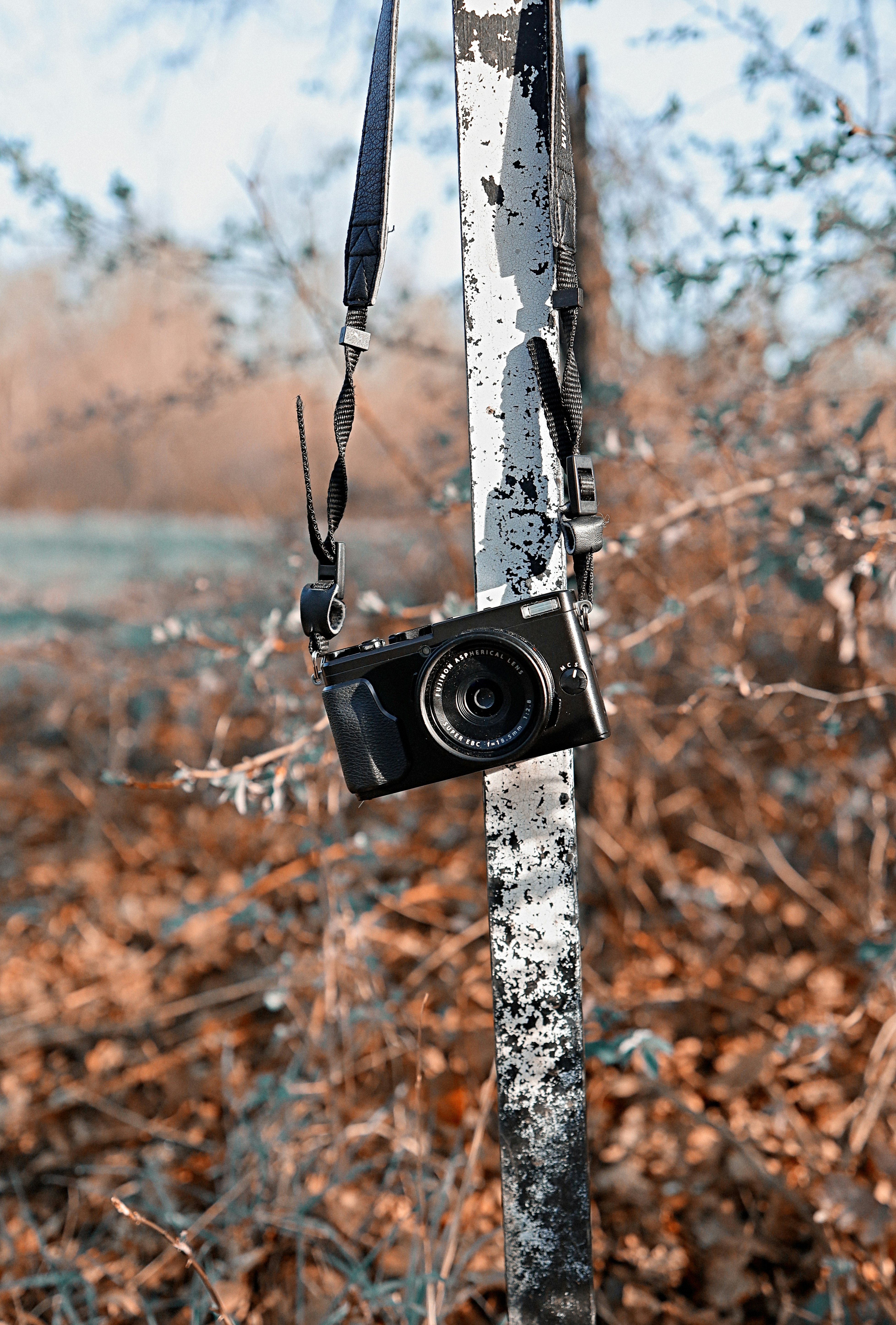Suspended on a Weathered Post: A Compact Camera in Autumn Haze