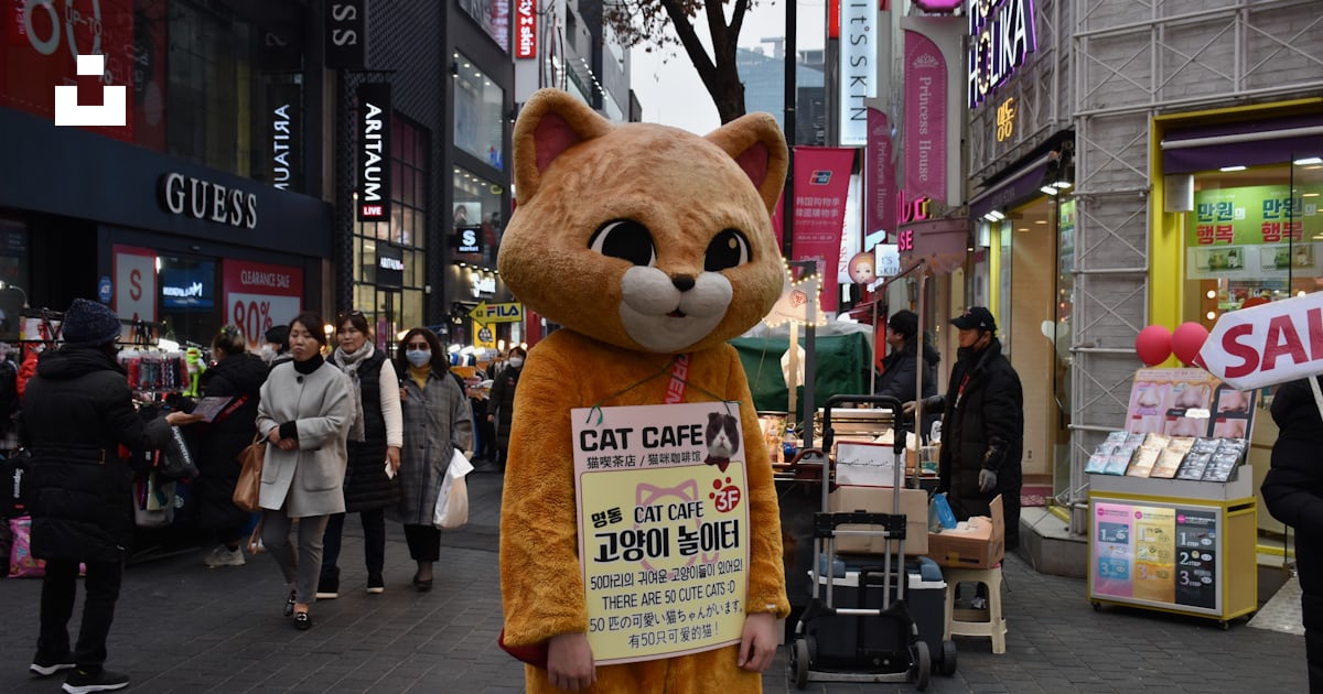 낮 동안 거리에서 갈색 곰 봉제 장난감 사진 Unsplash의 무료 서울 이미지