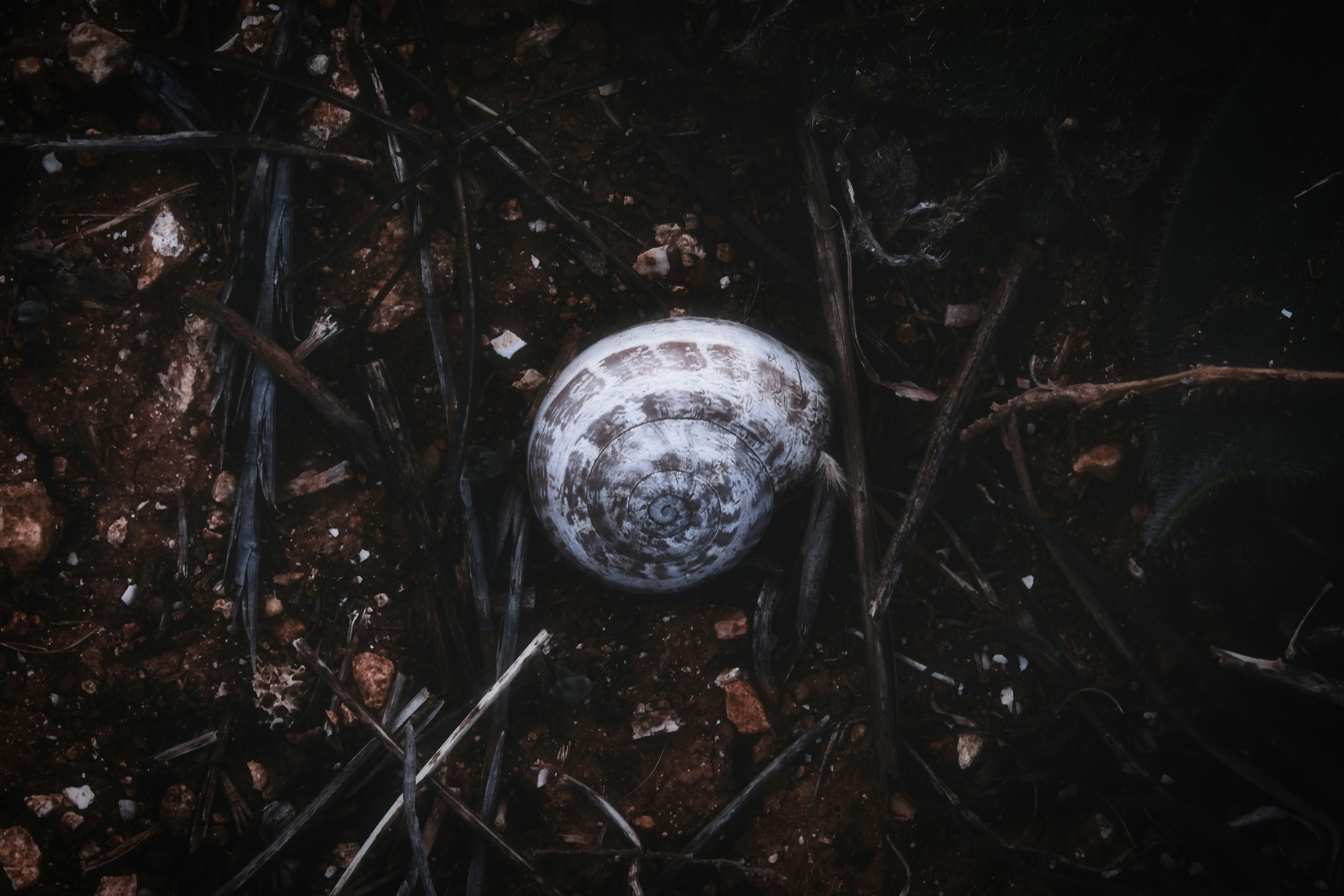 Alex Chernenko (@achernenko) | Unsplash Photo Community