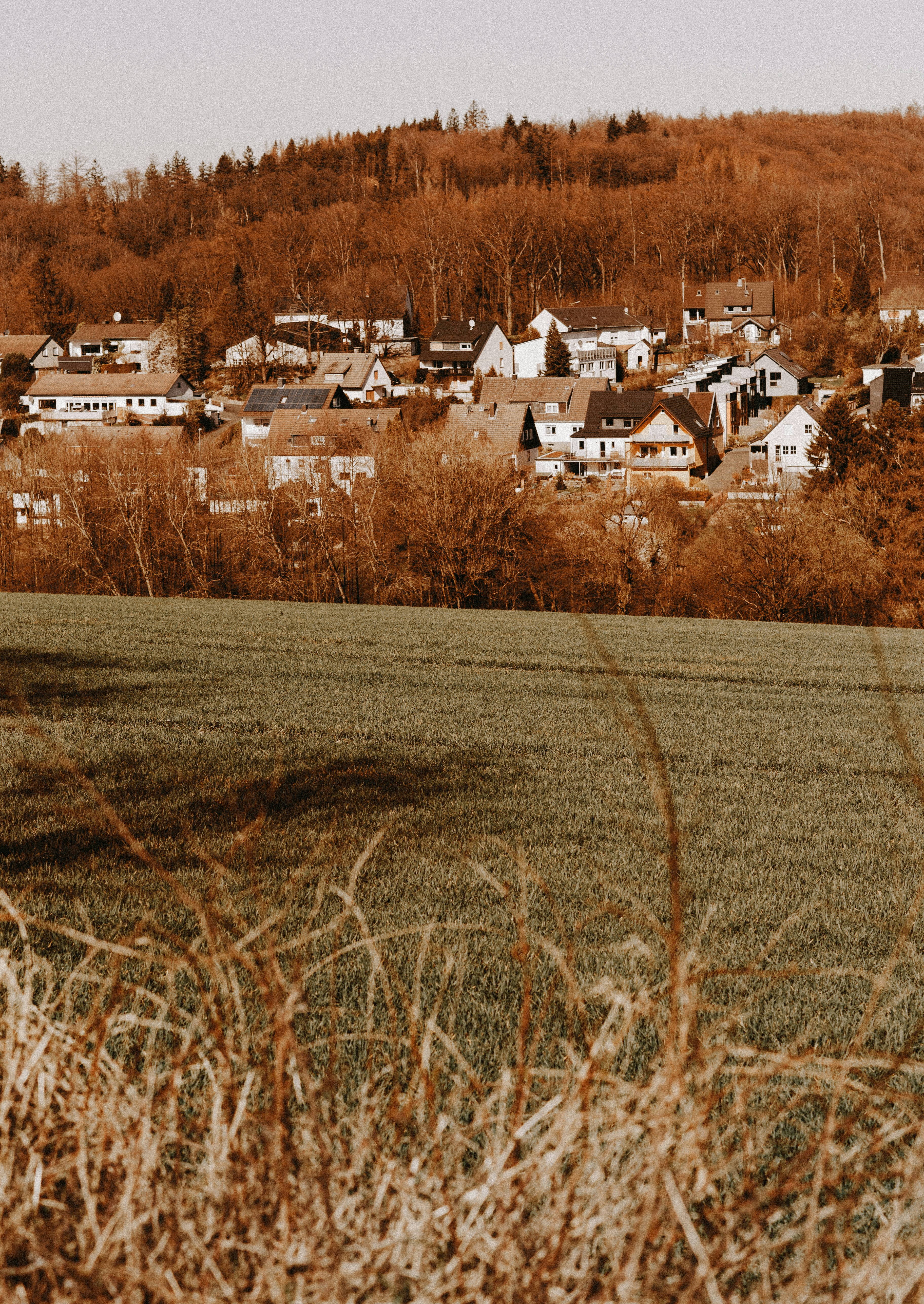 Copper-Toned Village Crest: Houses Nestled Along the Hillside