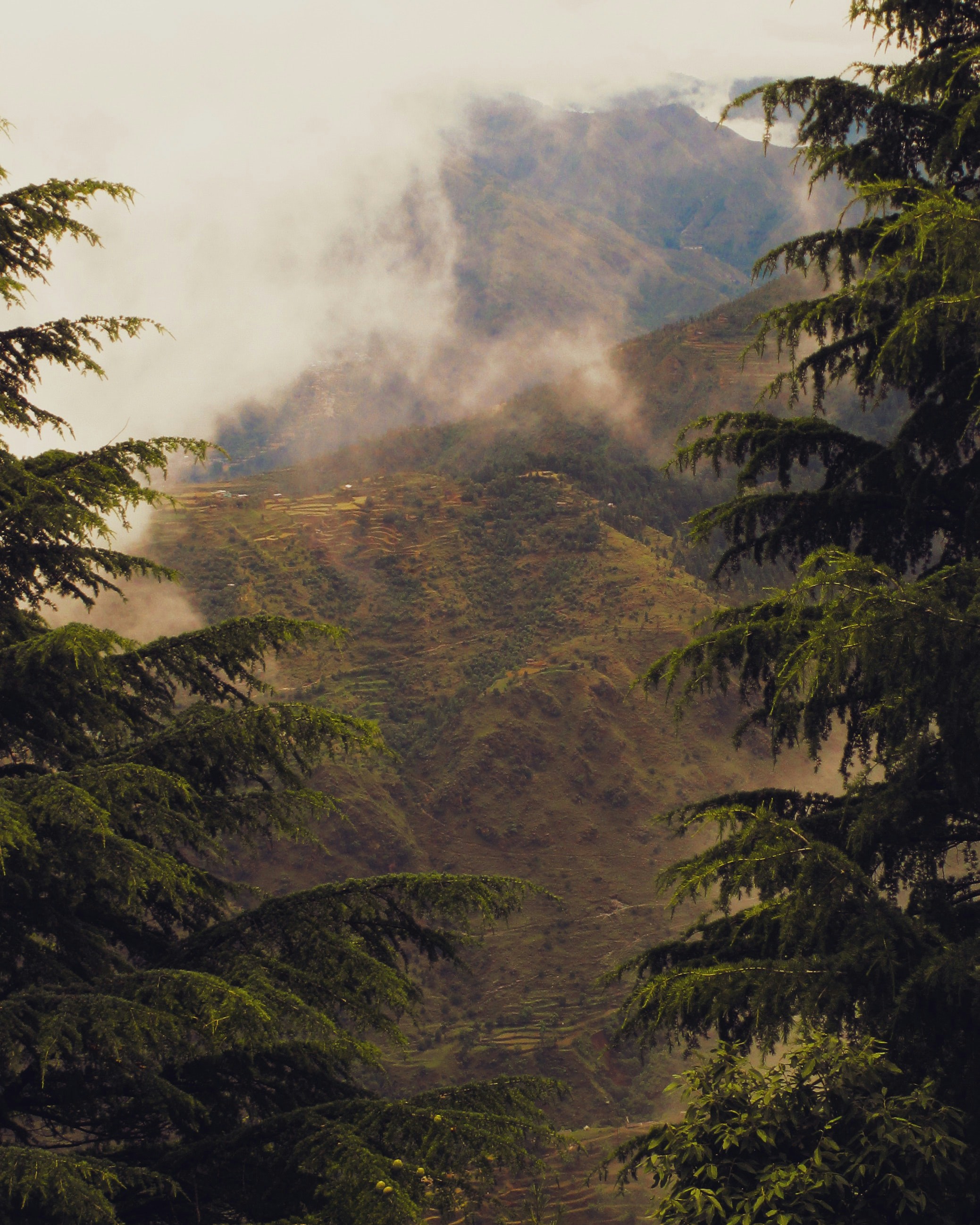 1000+ Dehradun, India Pictures | Download Free Images on Unsplash