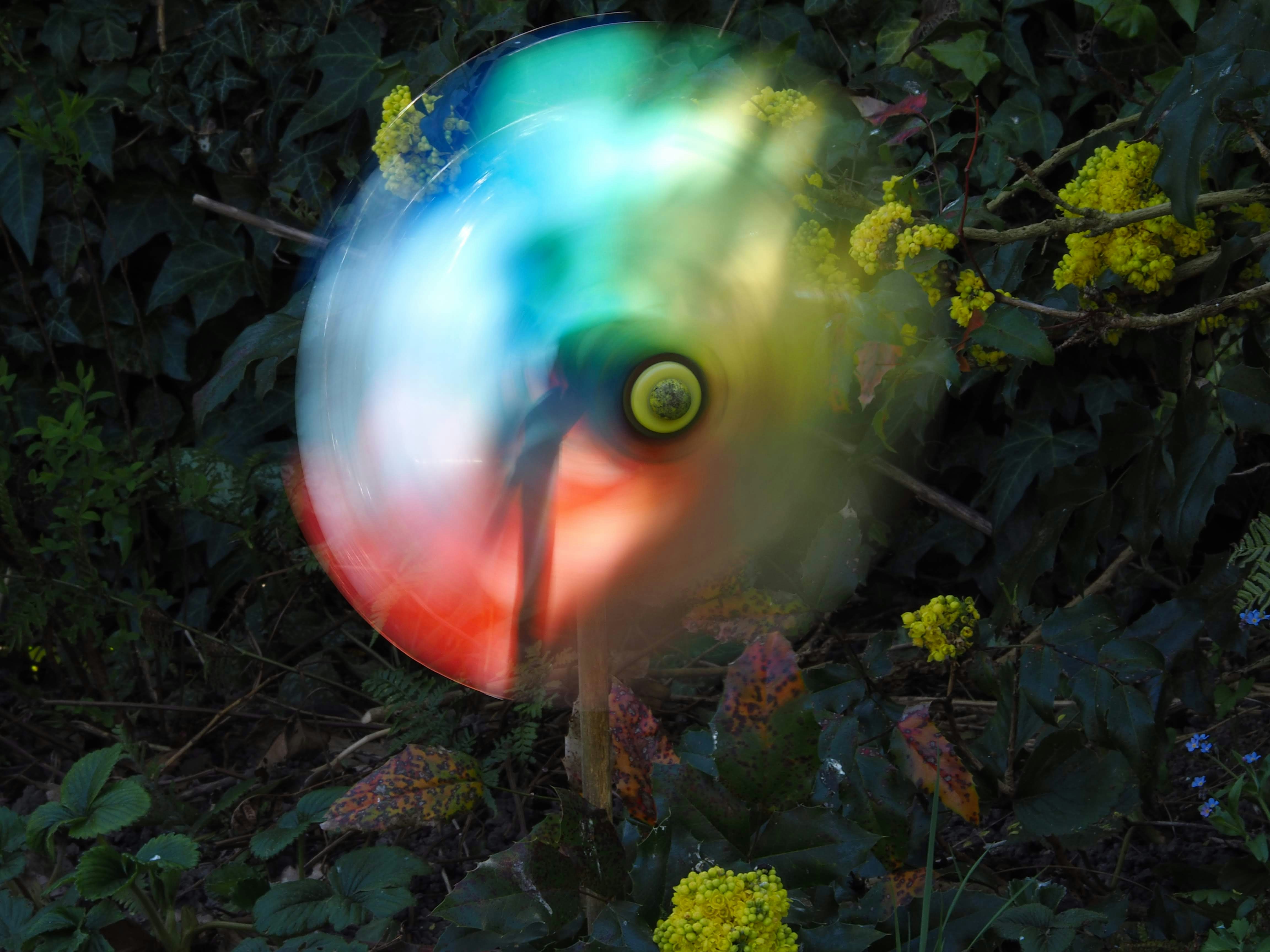 green yellow and red round ornament