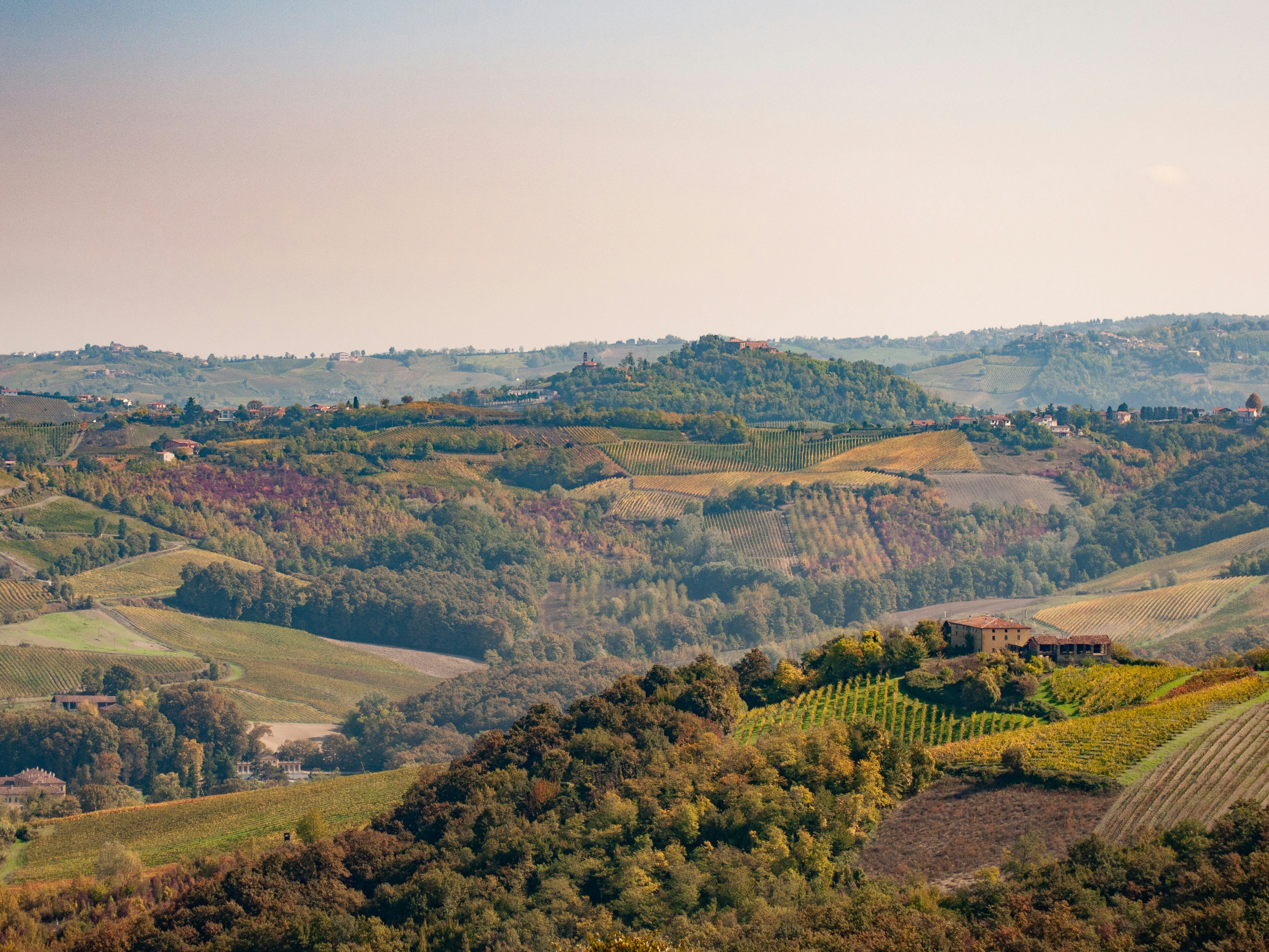 Rolling hills adorned with patchworks of autumn foliage under a clear sky.