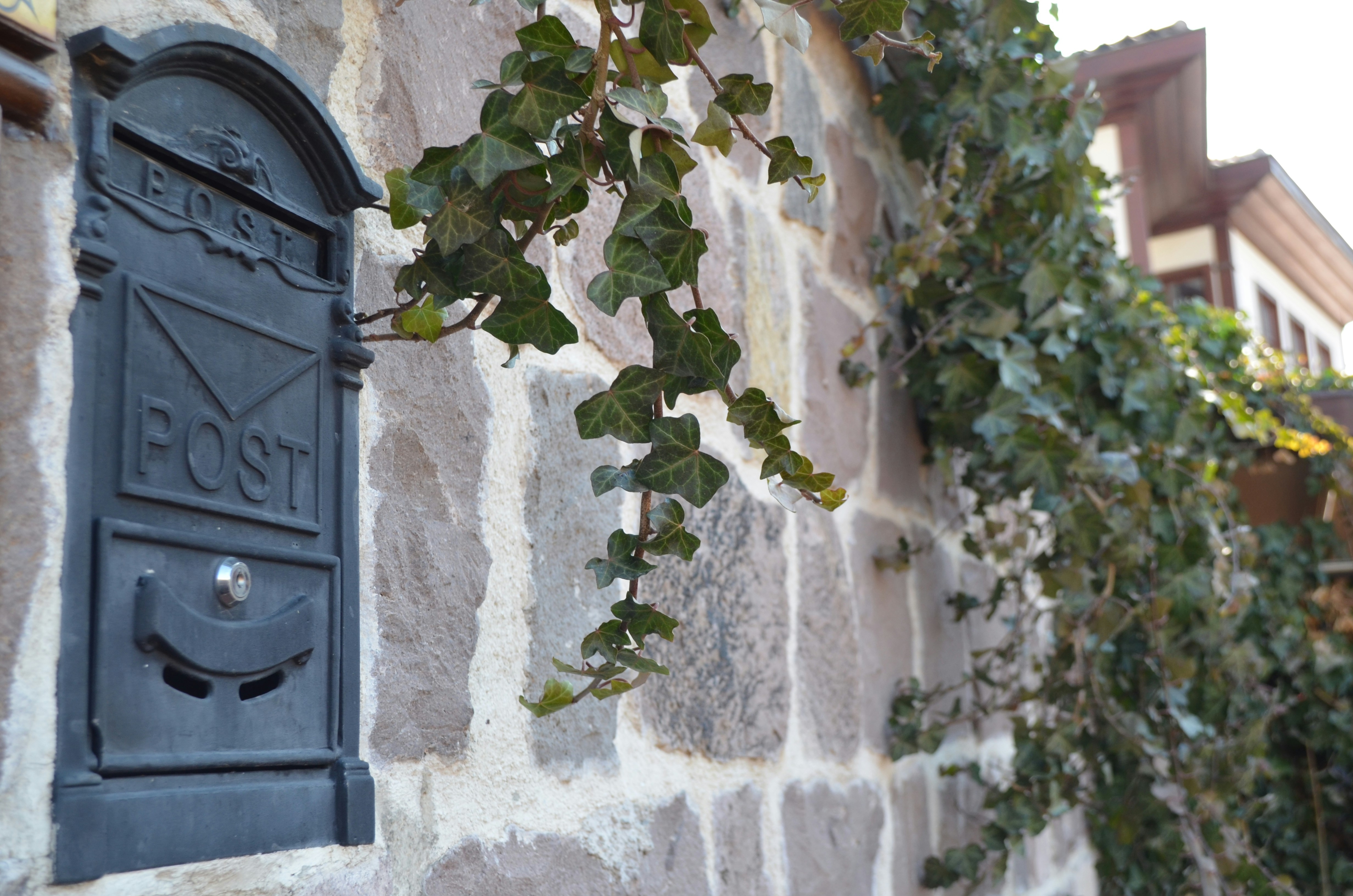 Blue Mailbox on a Stone Wall with Ivy Veil