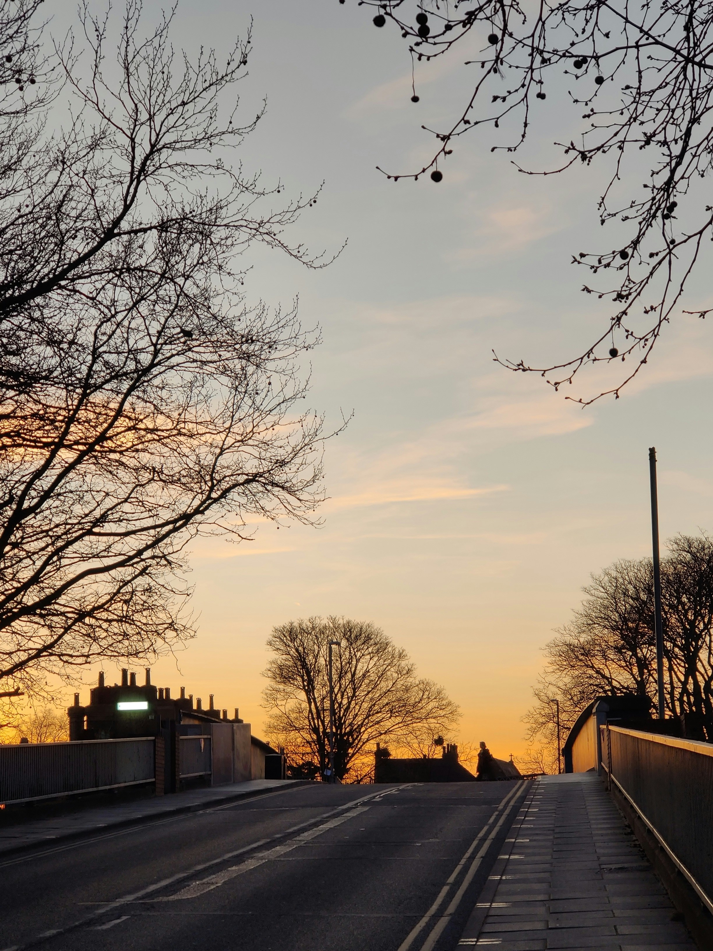 Quiet urban bridge at sunset, silhouettes of bare trees line the road as a warm orange horizon glows behind.