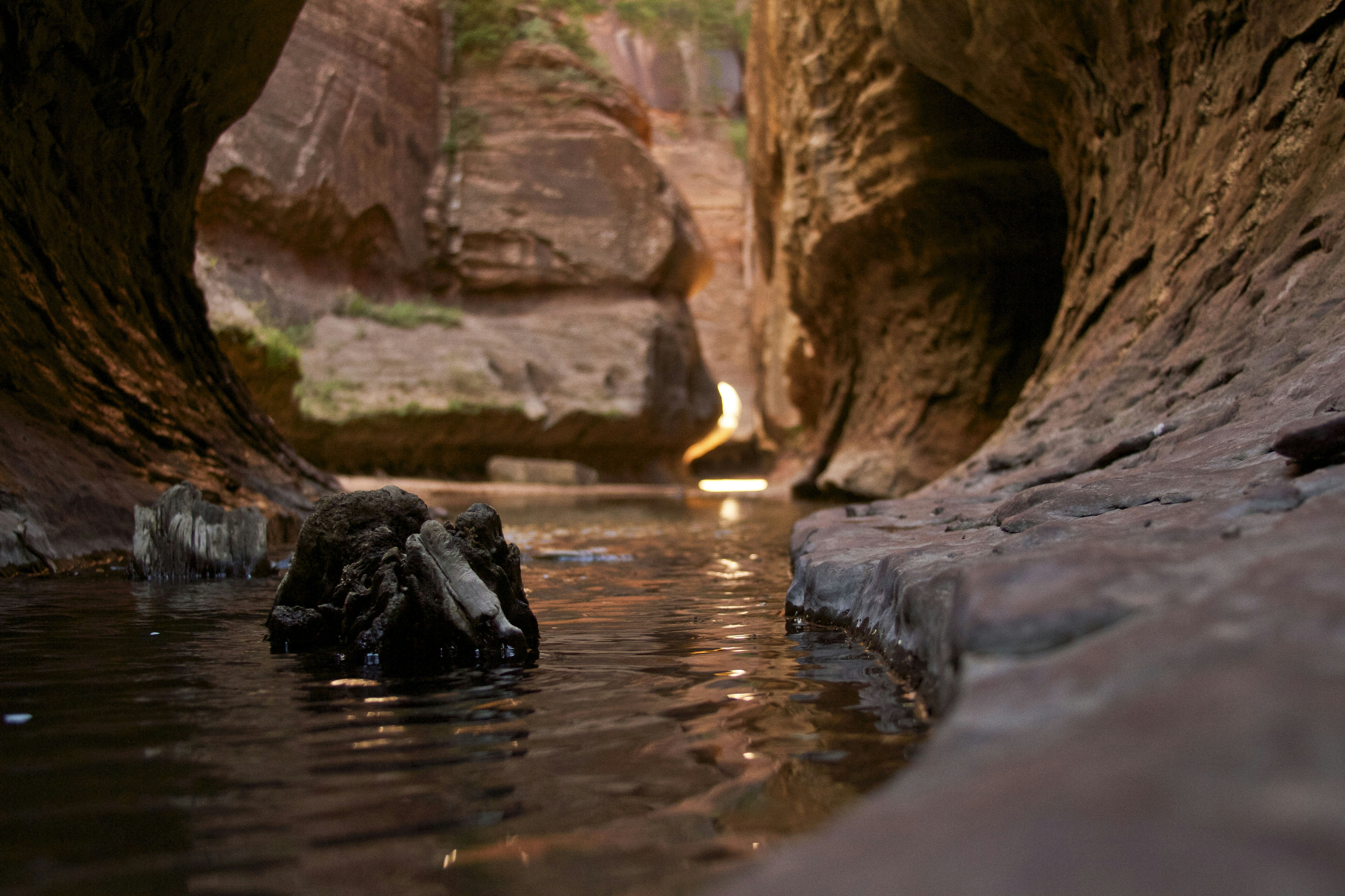 Tranquil water flows through a narrow canyon, framed by textured rock walls and soft light reflections.