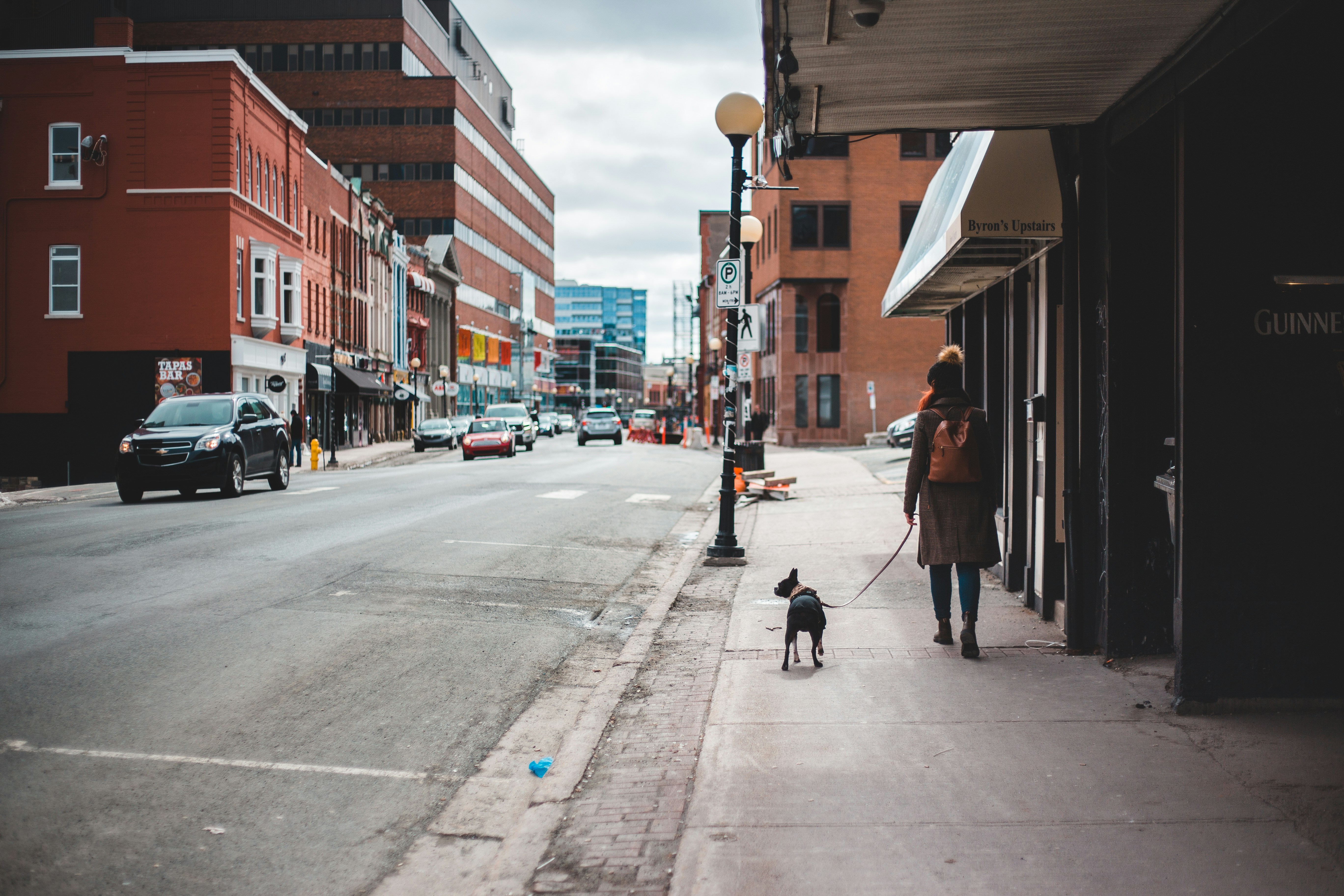 Sidewalk Moment: A Woman and Her Dog Tread a Quiet City Block