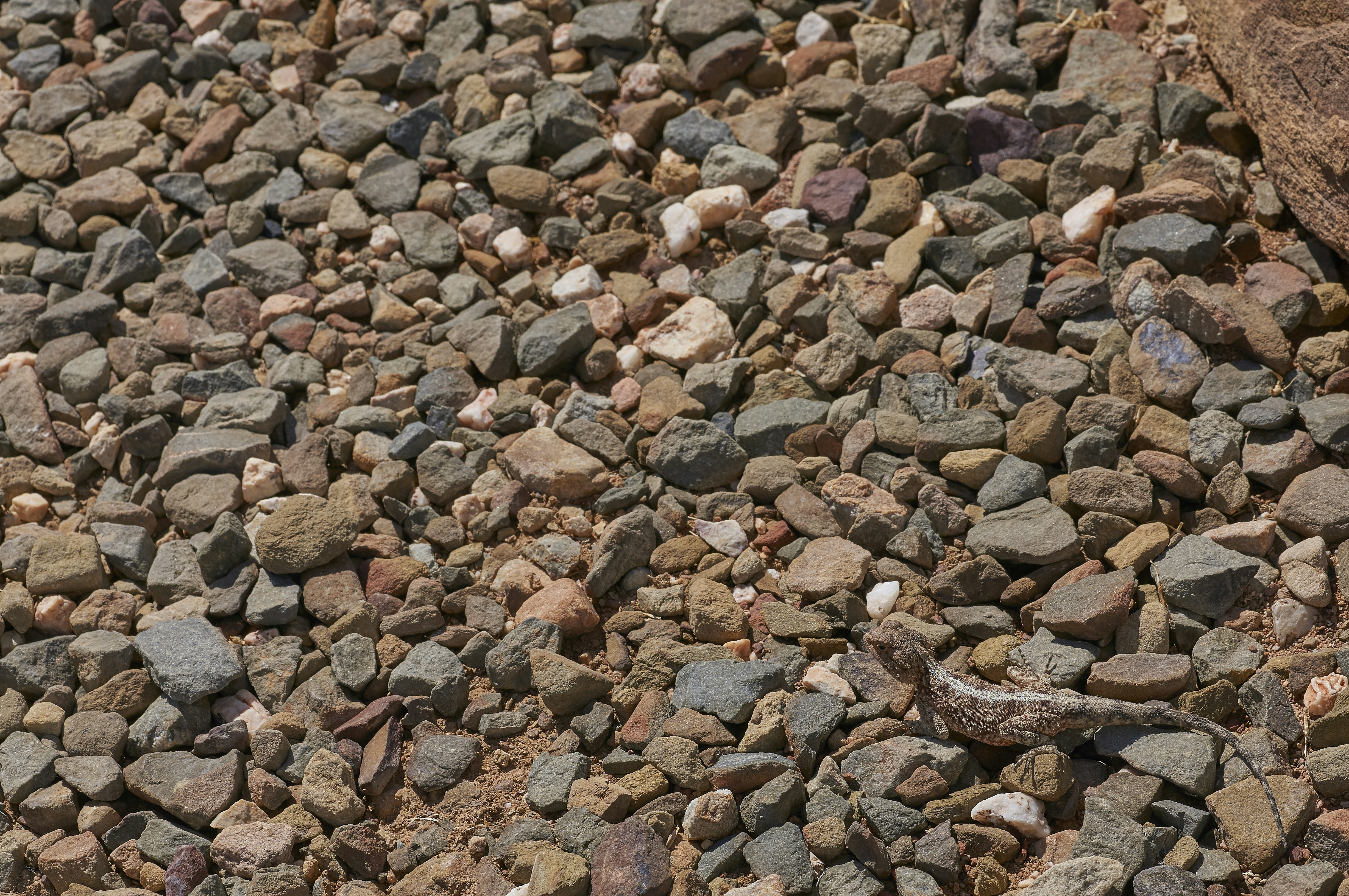 brown and gray stones on brown soil