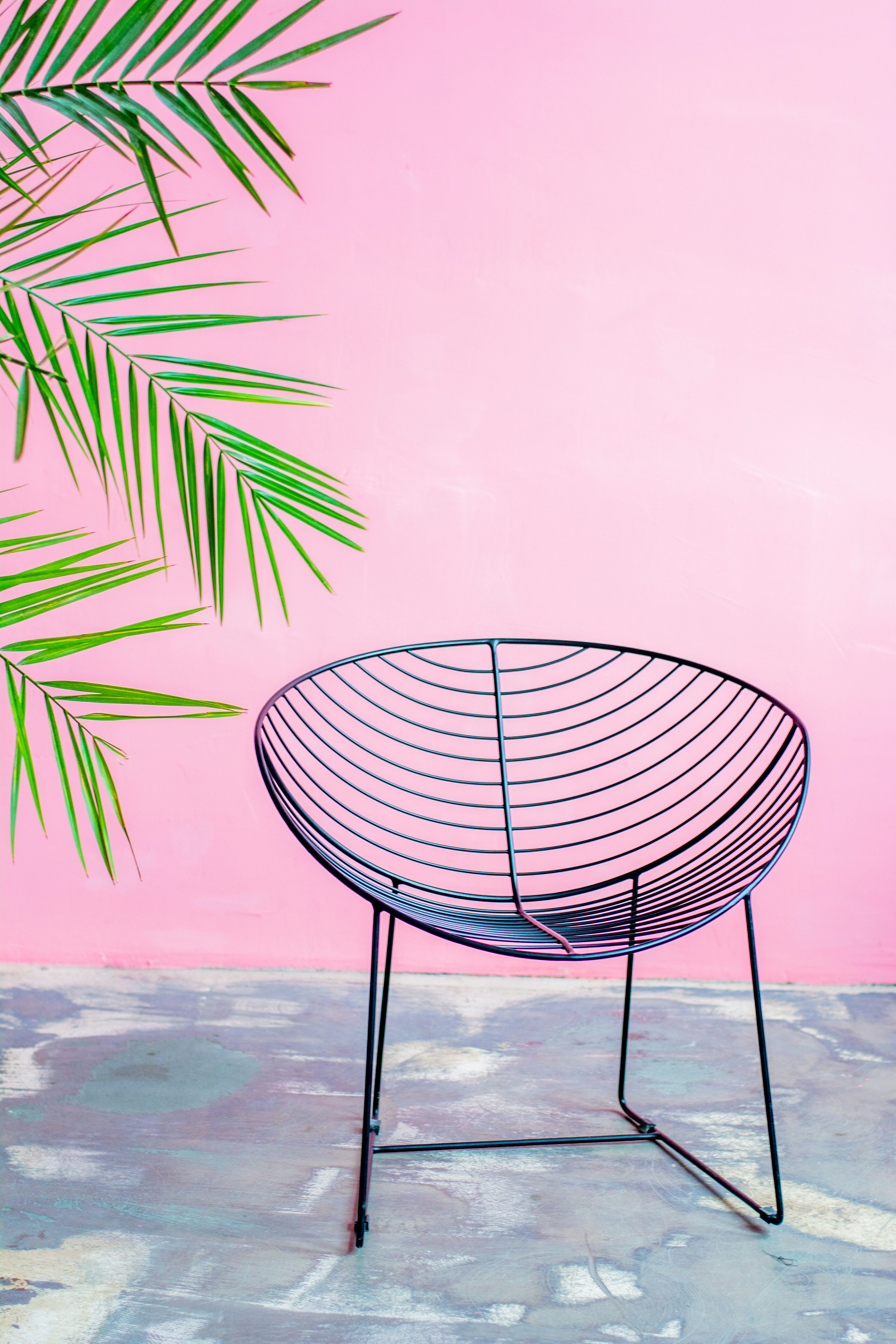 Pinkwall Stillness: A Minimal Wire Chair Beneath Palm Fronds