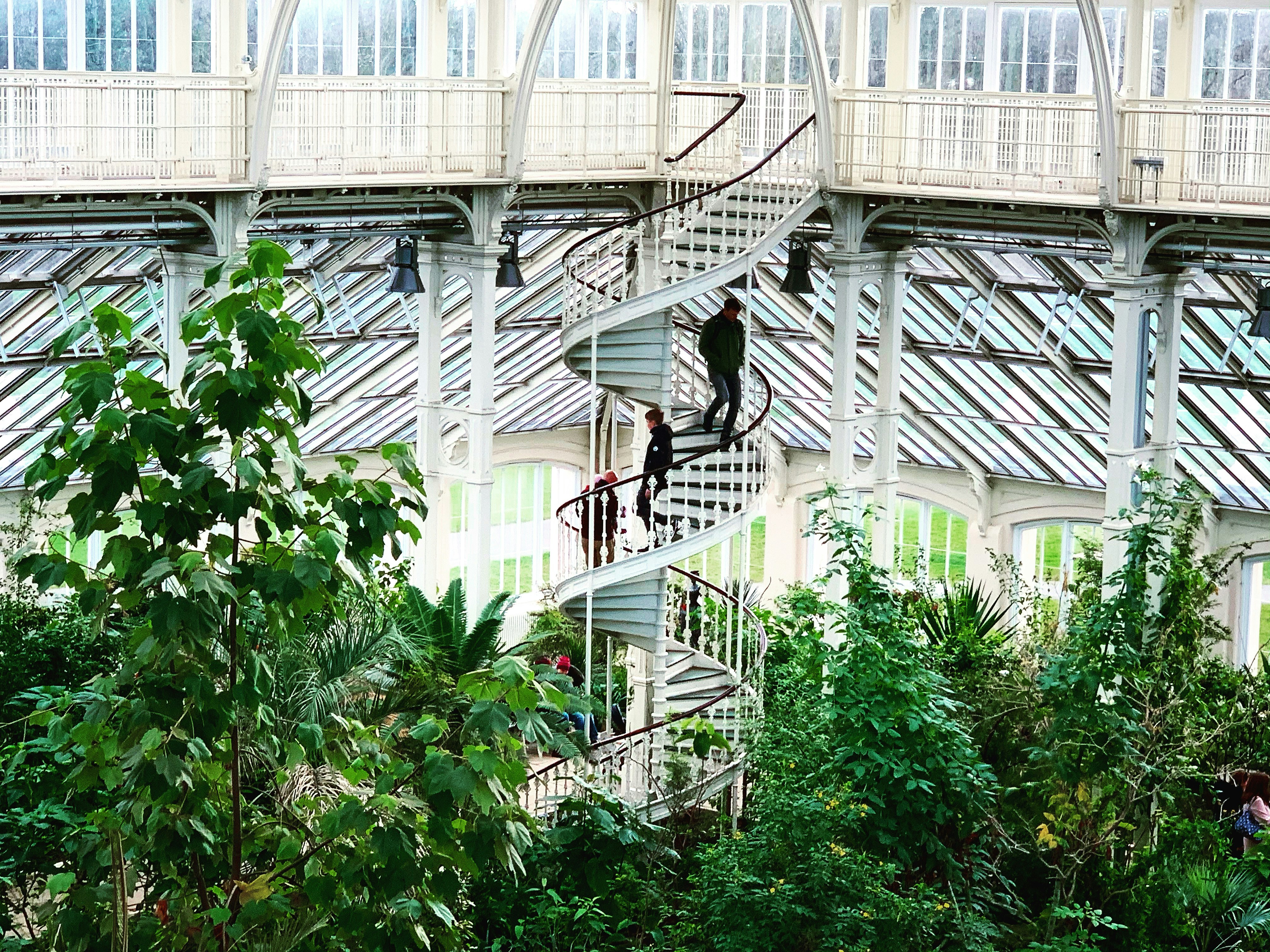 Person in black attire ascends a white spiral staircase within a lush glasshouse environment.
