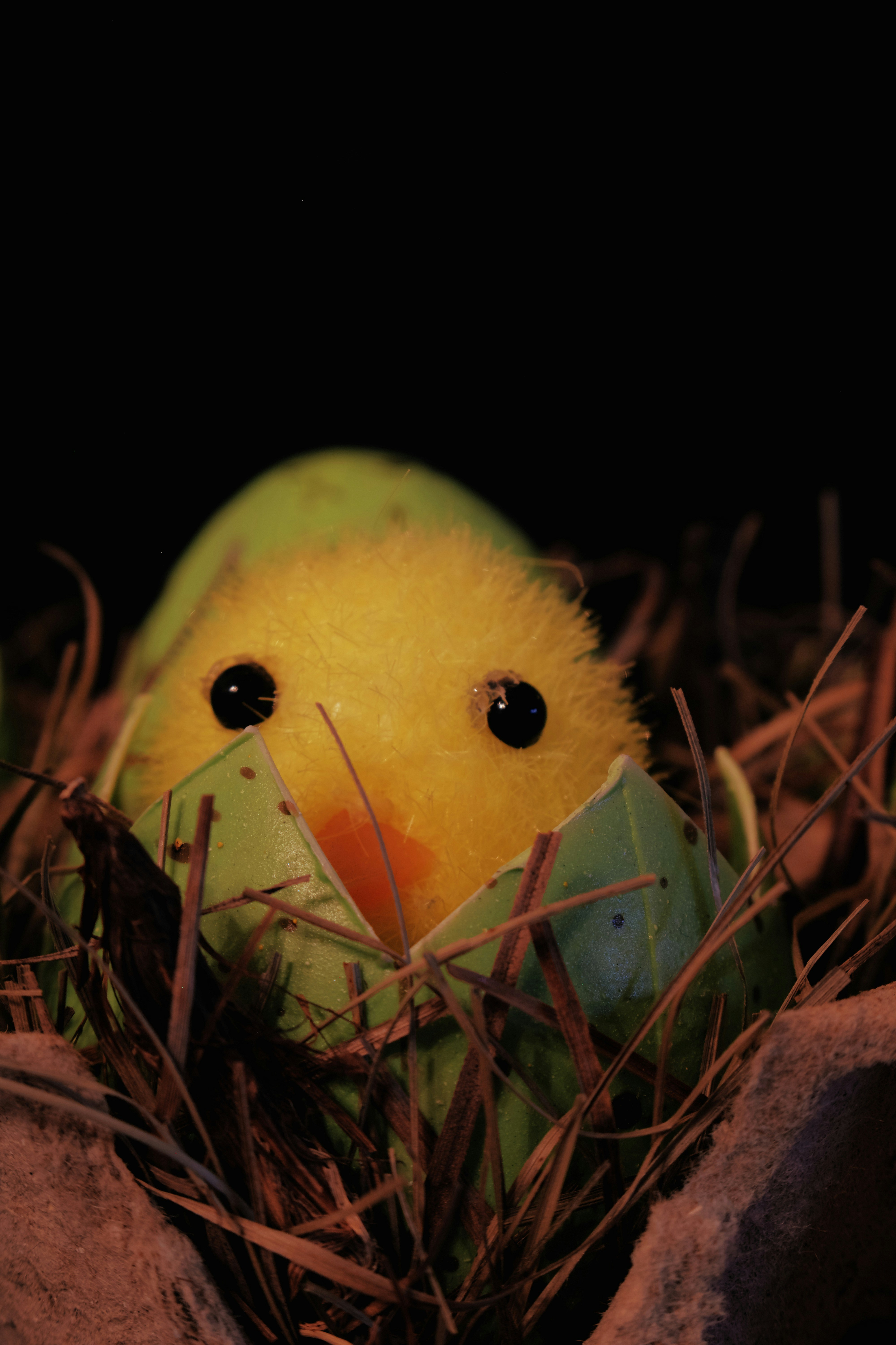 A vibrant yellow chick peeks out from a green eggshell, surrounded by straw, symbolizing new beginnings and innocence.