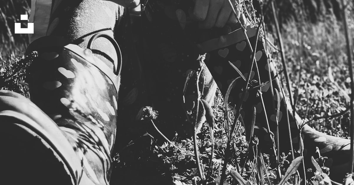 Foto Mujer Con Camiseta Blanca Y Pantalón Negro Sentada En El Campo De