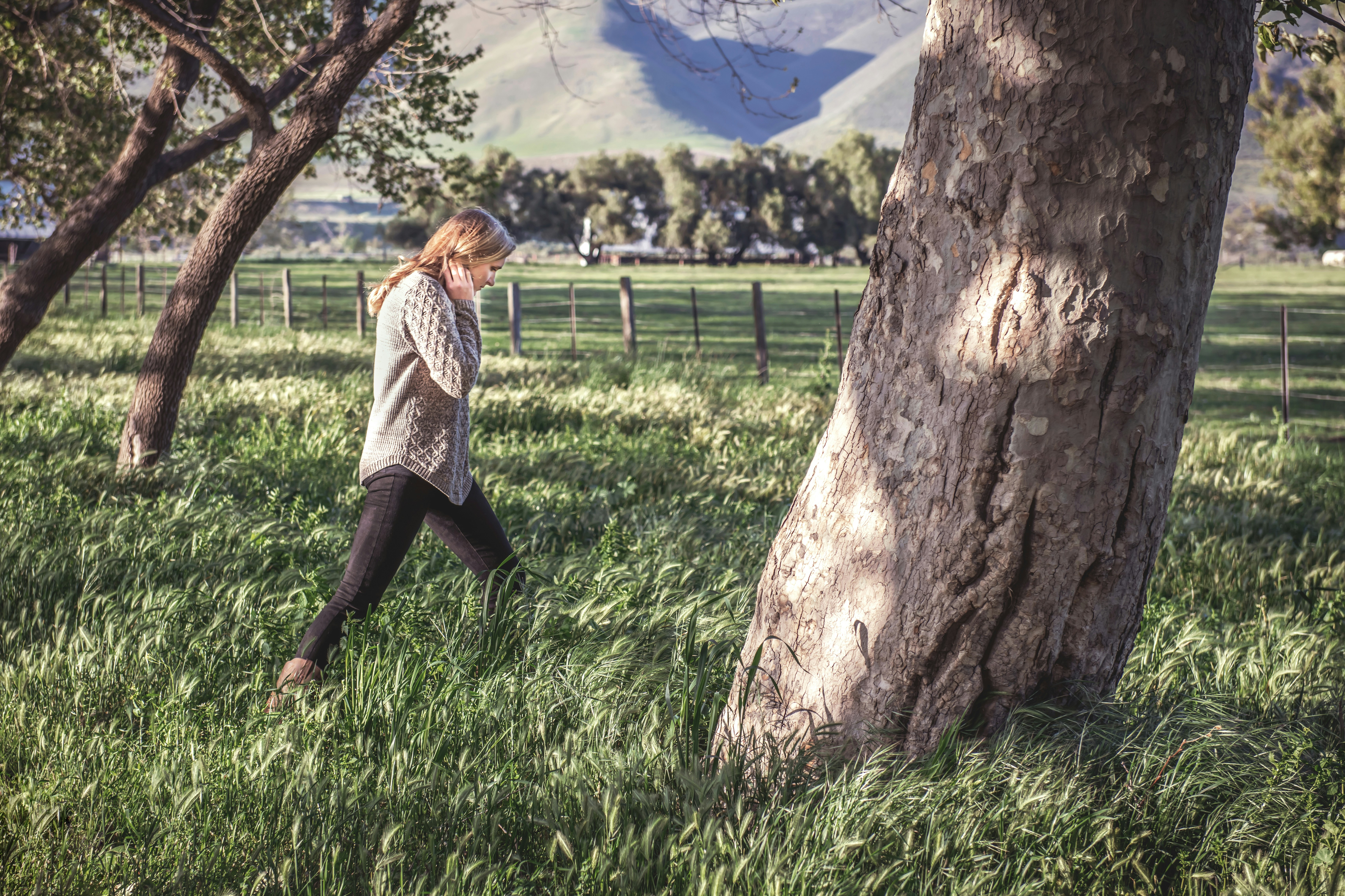 Solitary stride beside a weathered tree in a sunlit meadow