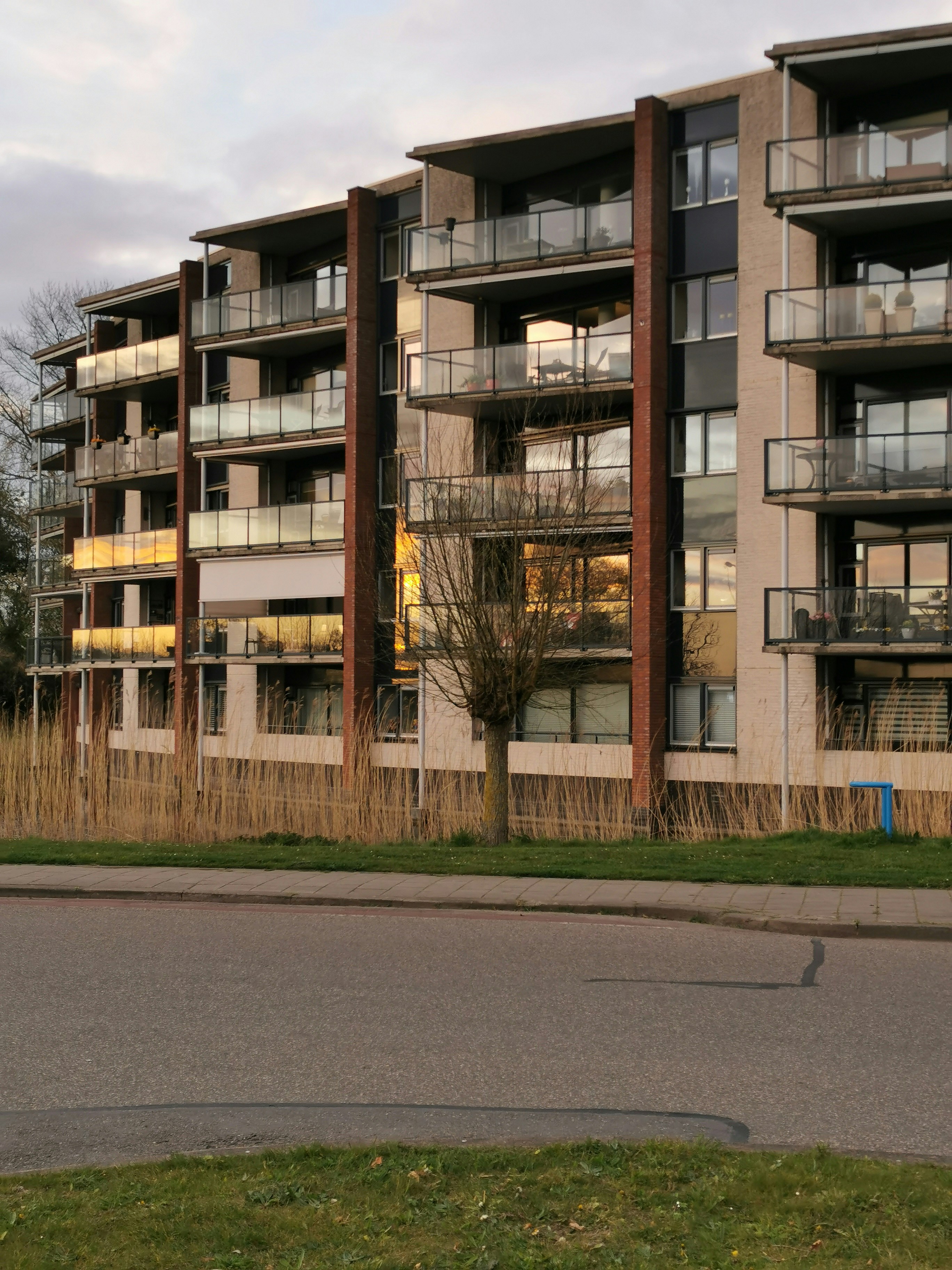 Sunlit Flats: Balcony Lines and Window Reflections