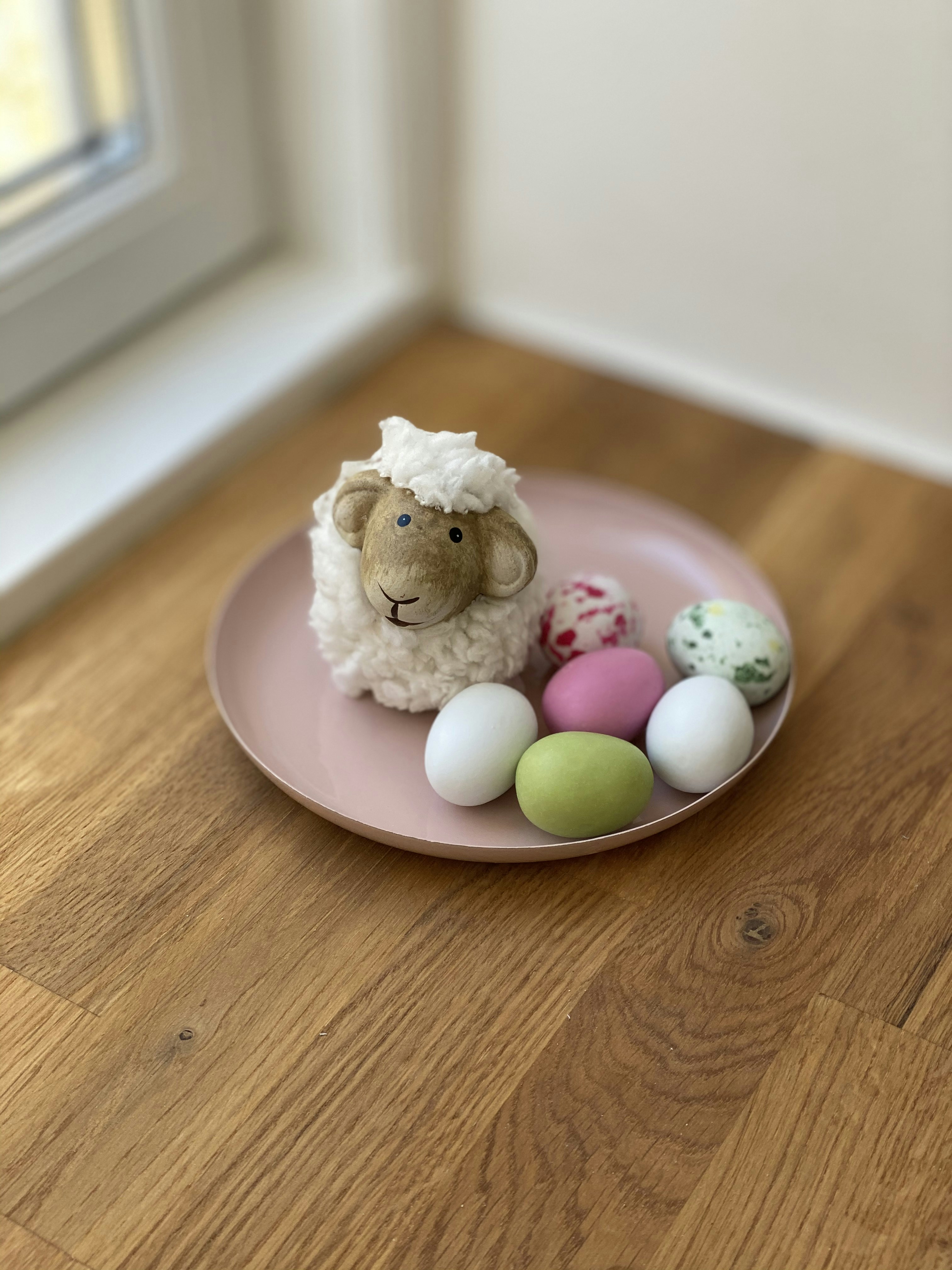 Pastel Plate of Eggs and a Woolly Friend on a Sunlit Floor