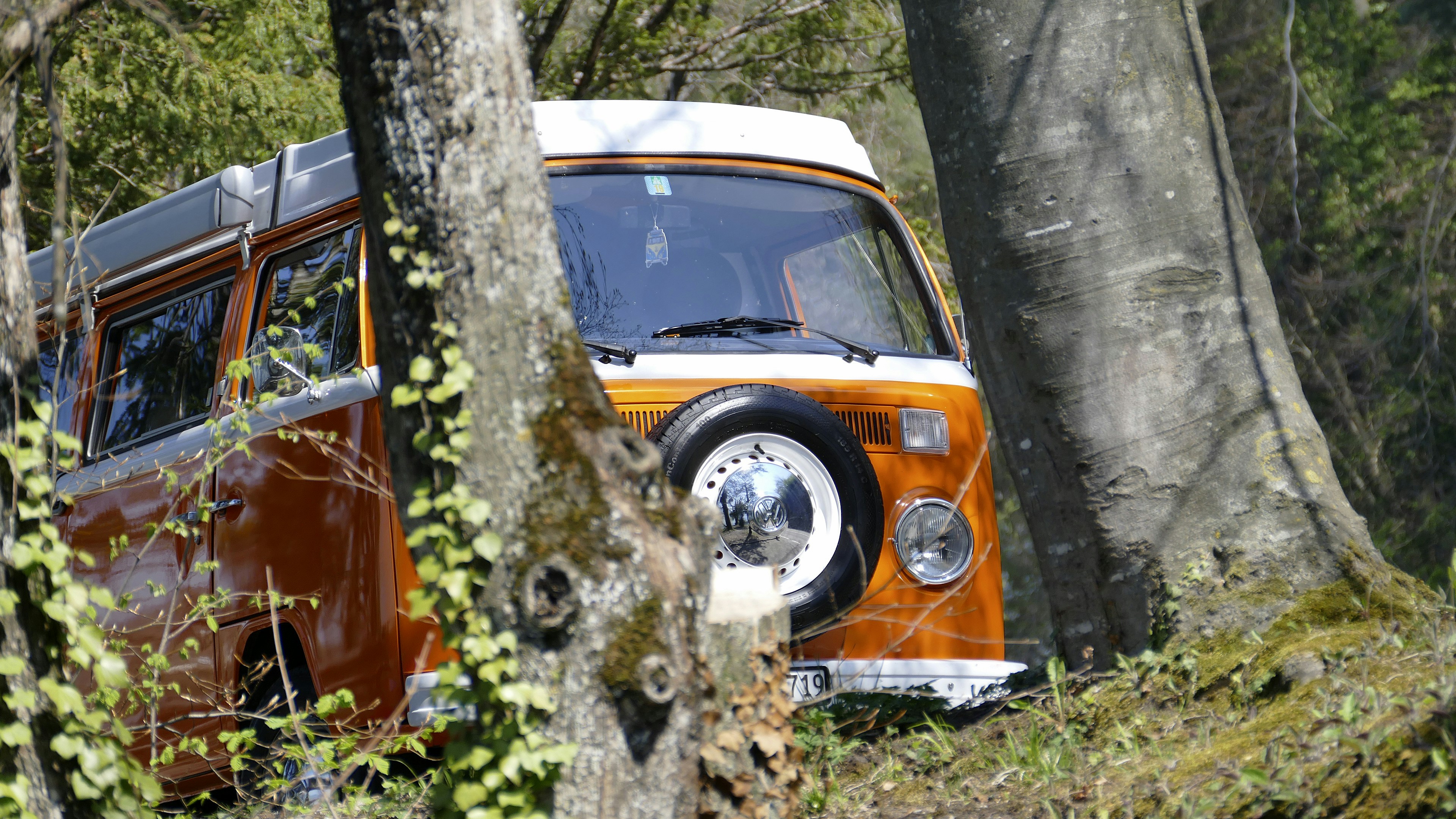 Orange and white volkswagen t-2 van parked beside tree during daytime ...