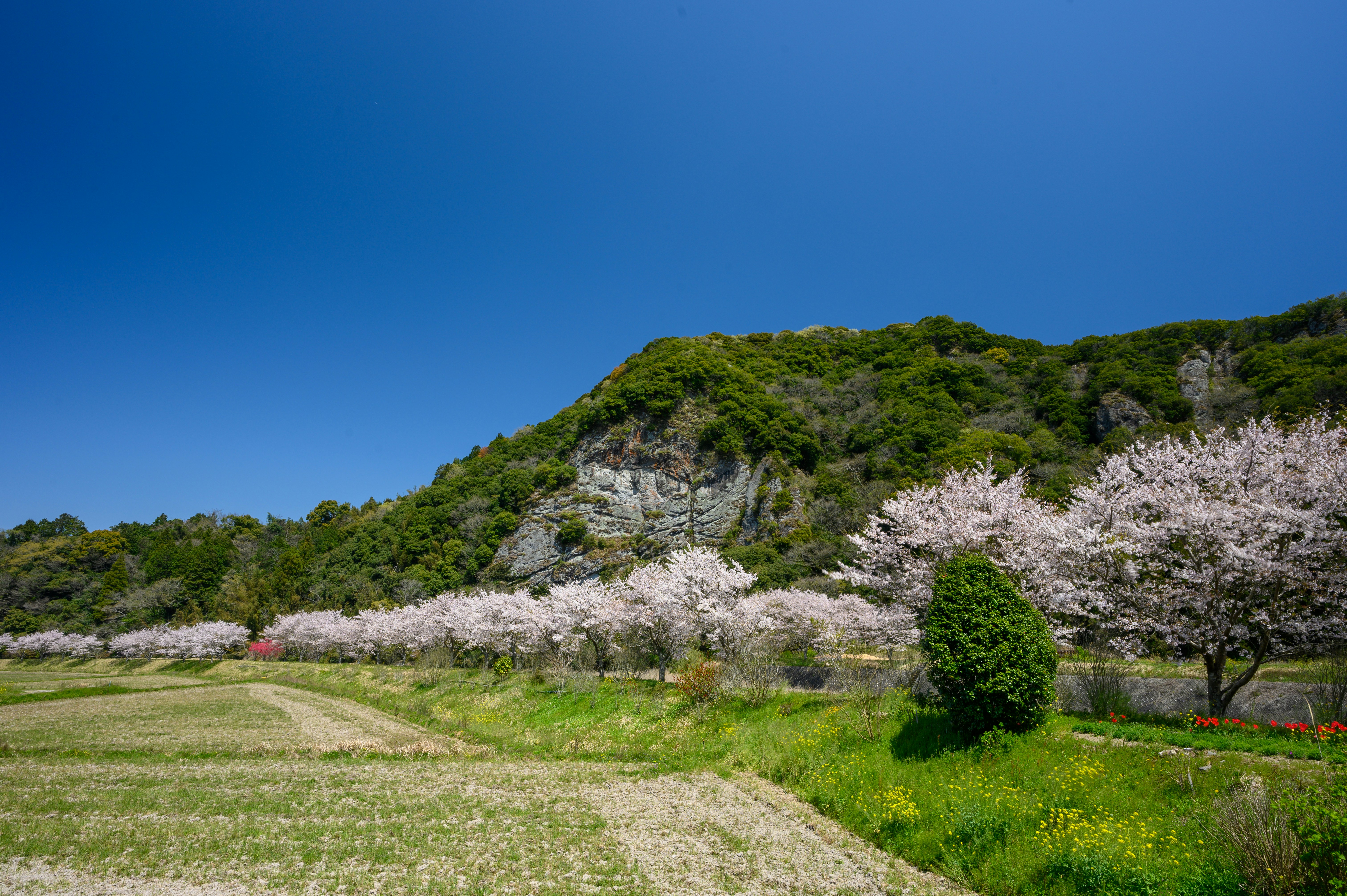 green grass field near gray rocky mountain under blue sky during daytime